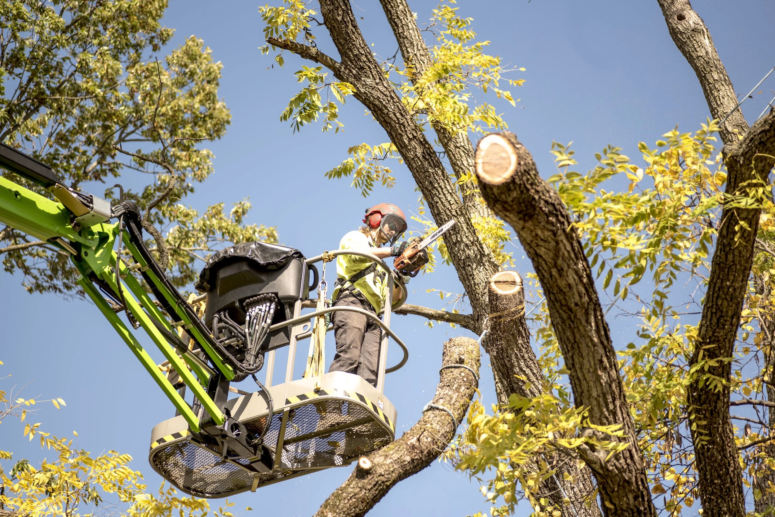 OnSite Tree Services