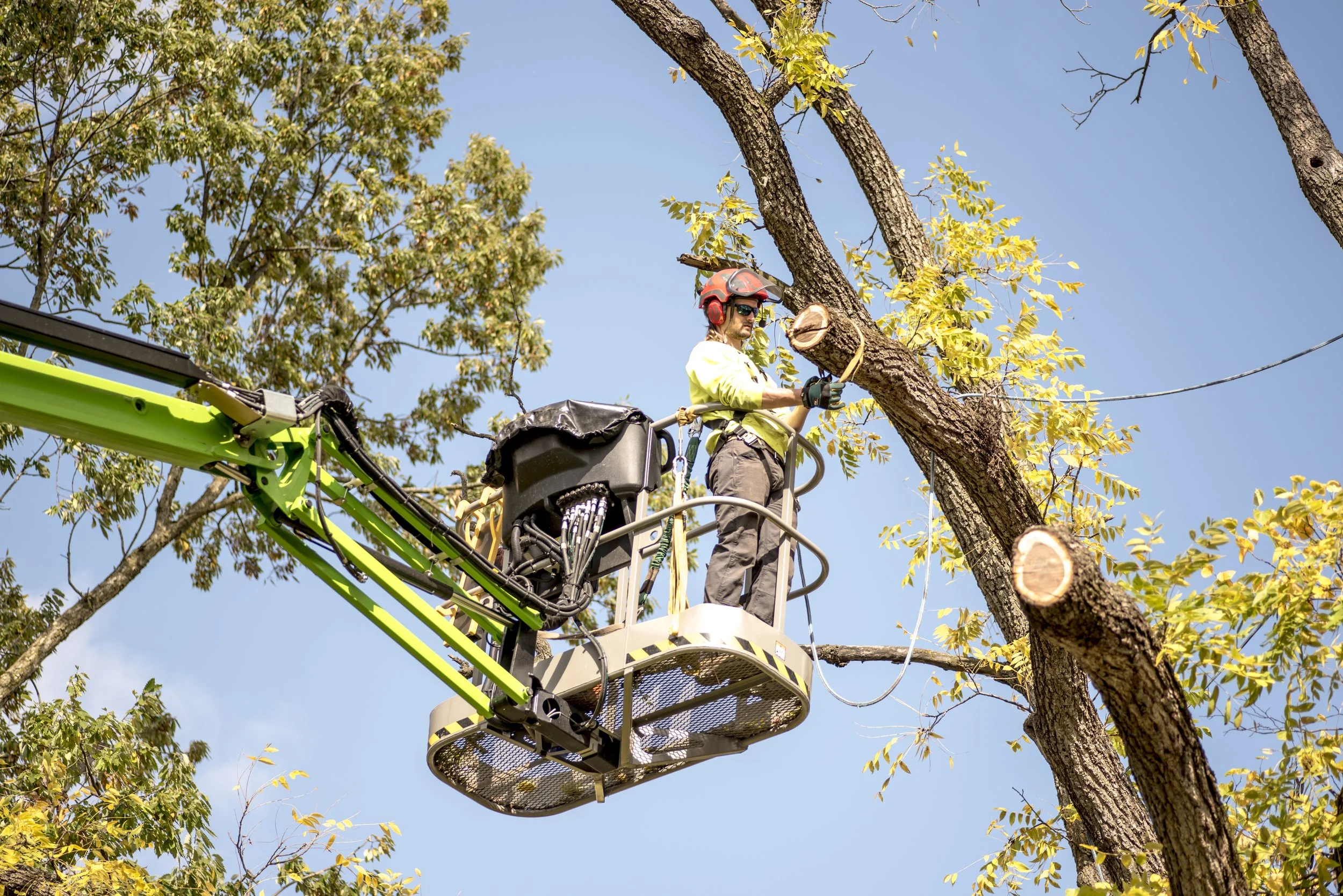 OnSite Tree Services