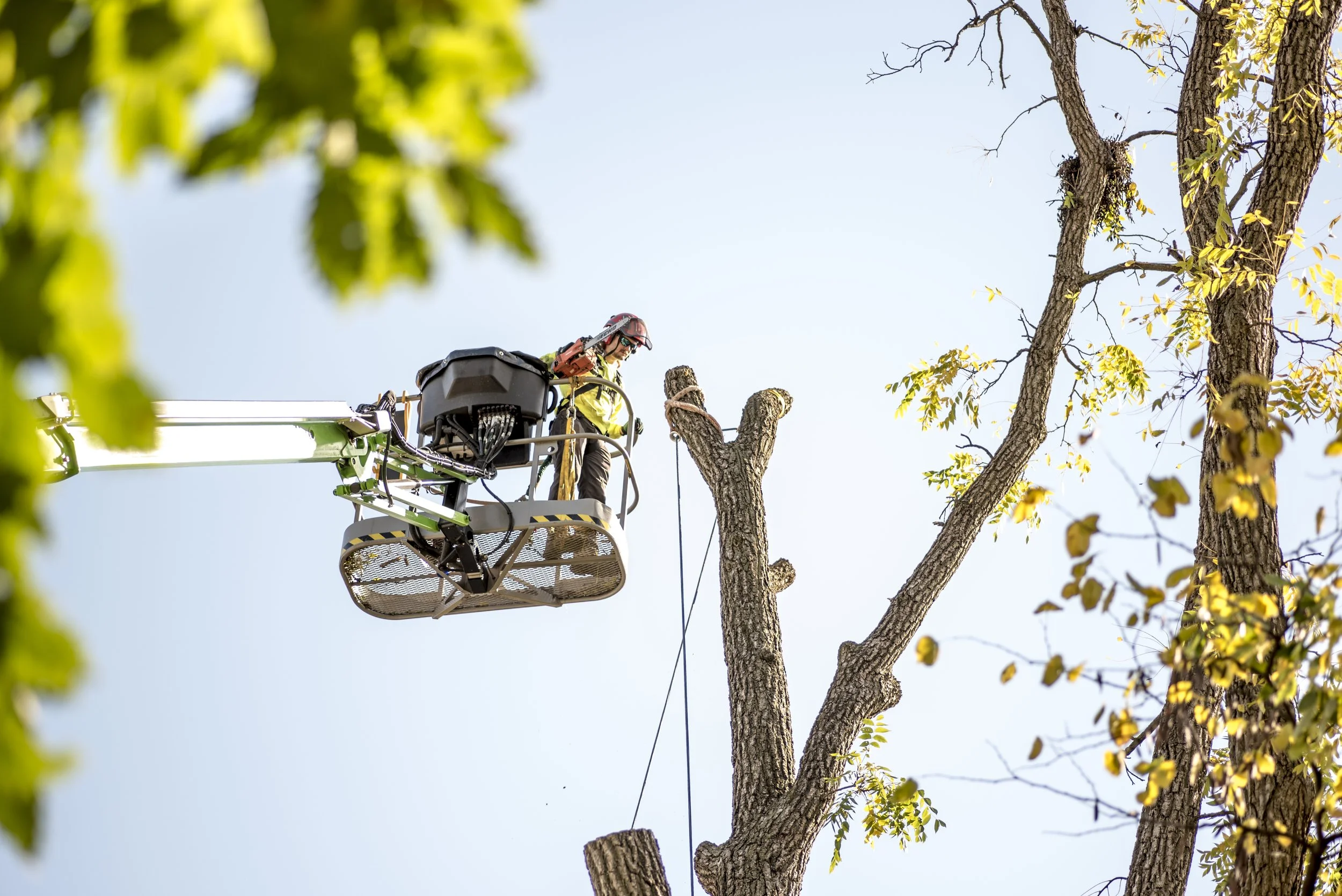 OnSite Tree Services