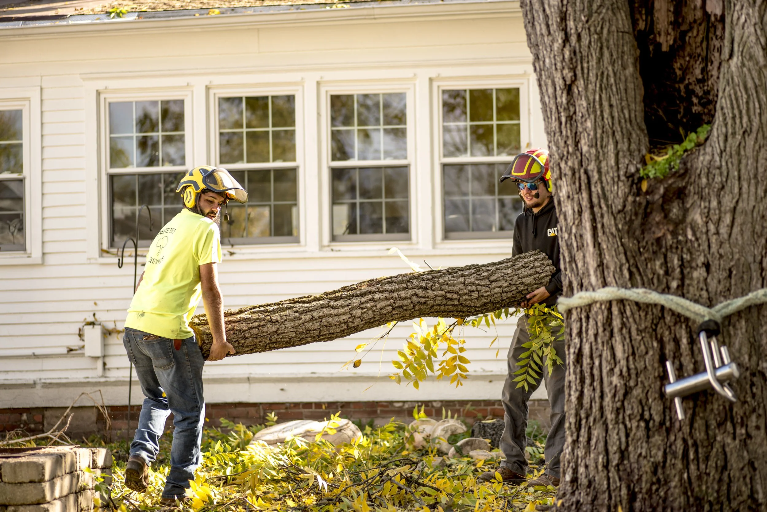 OnSite Tree Services