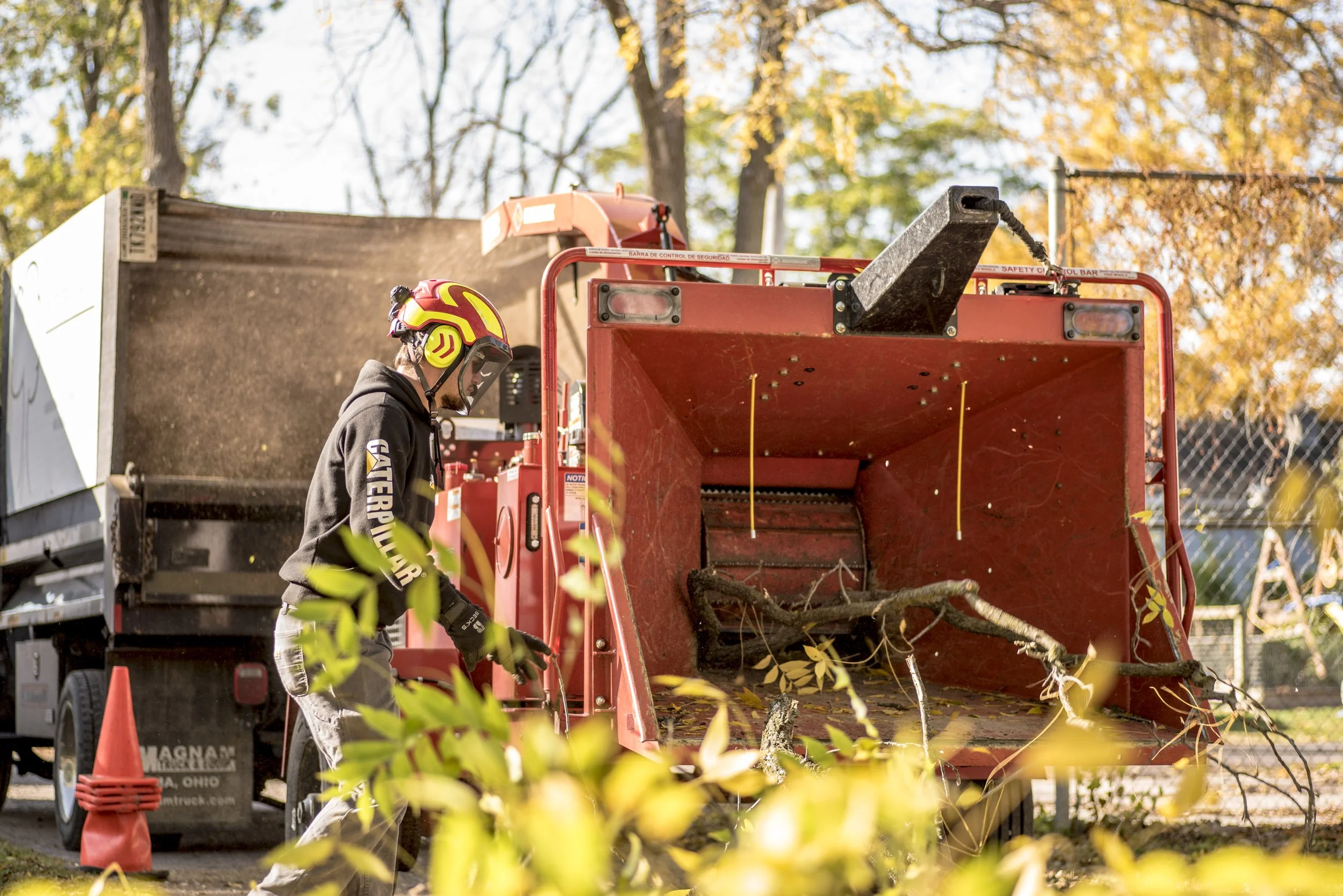 OnSite Tree Services