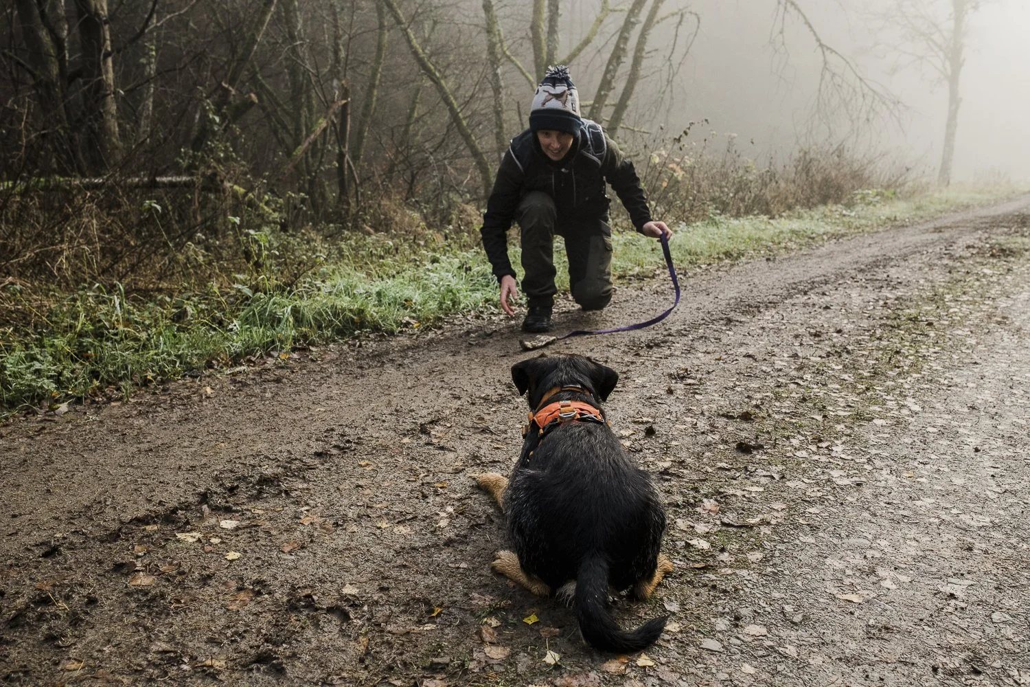 Peebles Dog Trainer — Valley Dogs