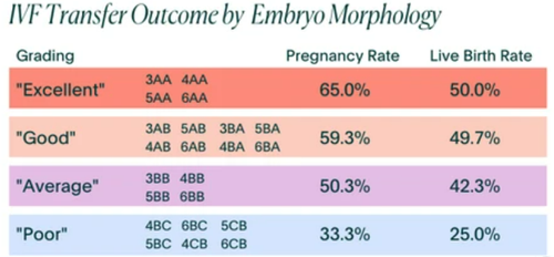 Embryo Grading — IVF Resources