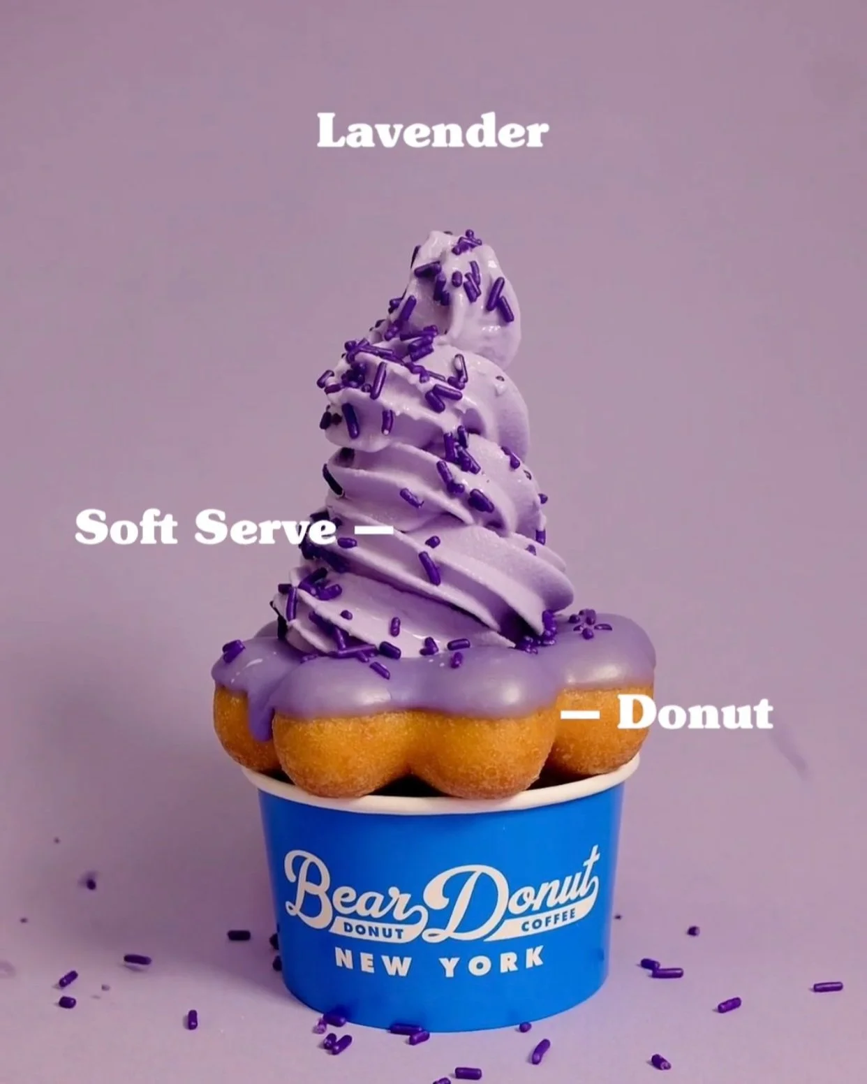Bear Donut