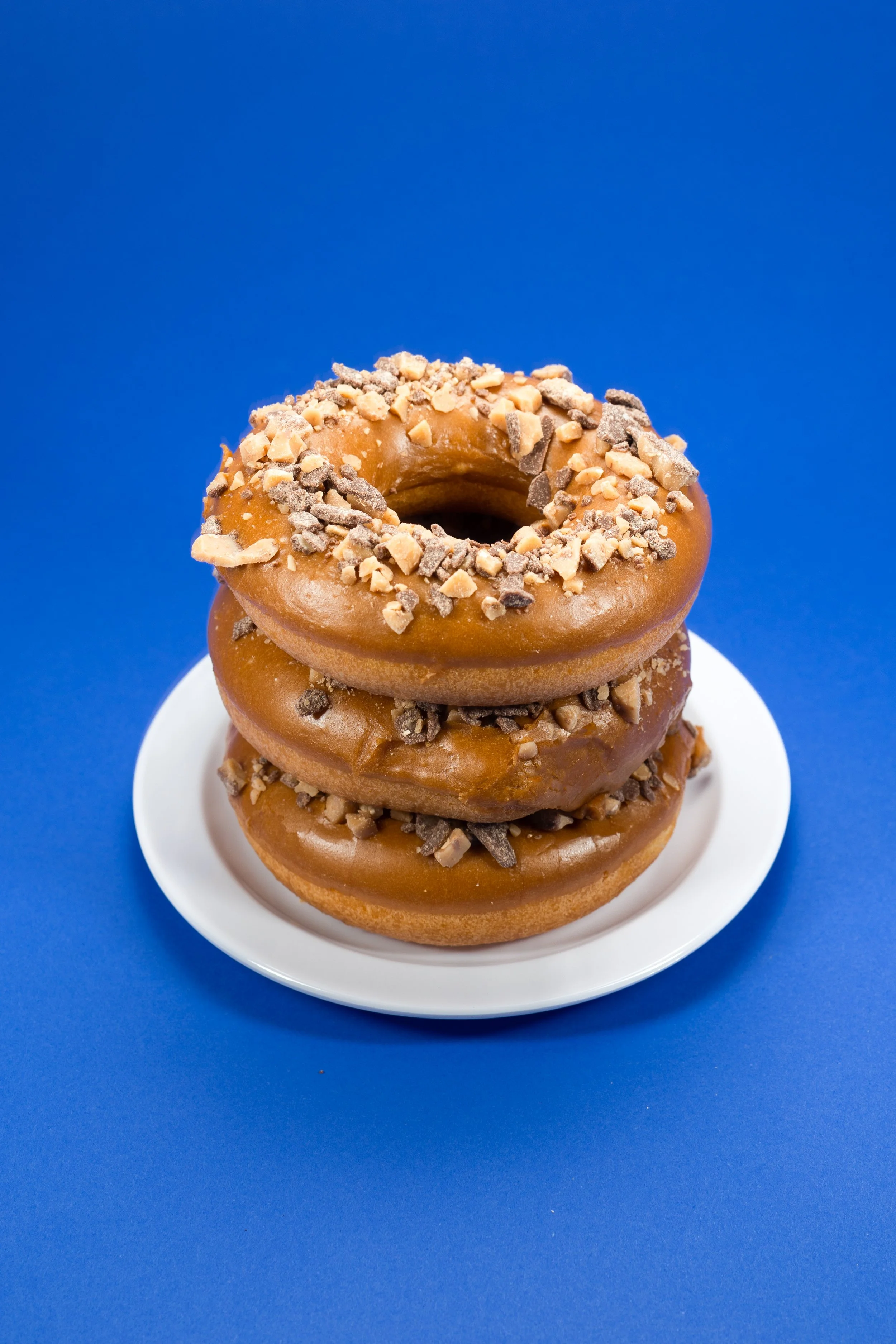 Bear Donut