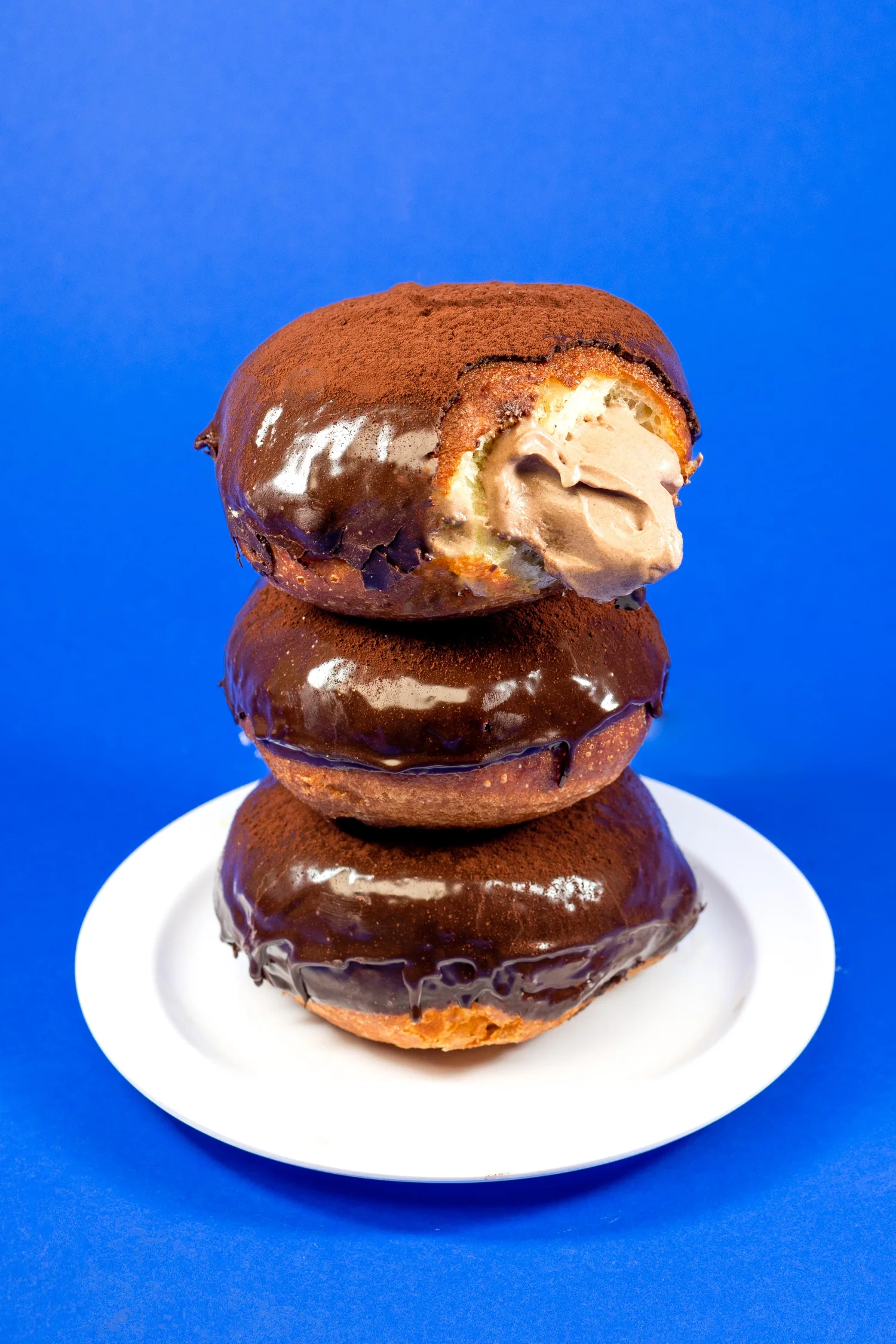 Bear Donut