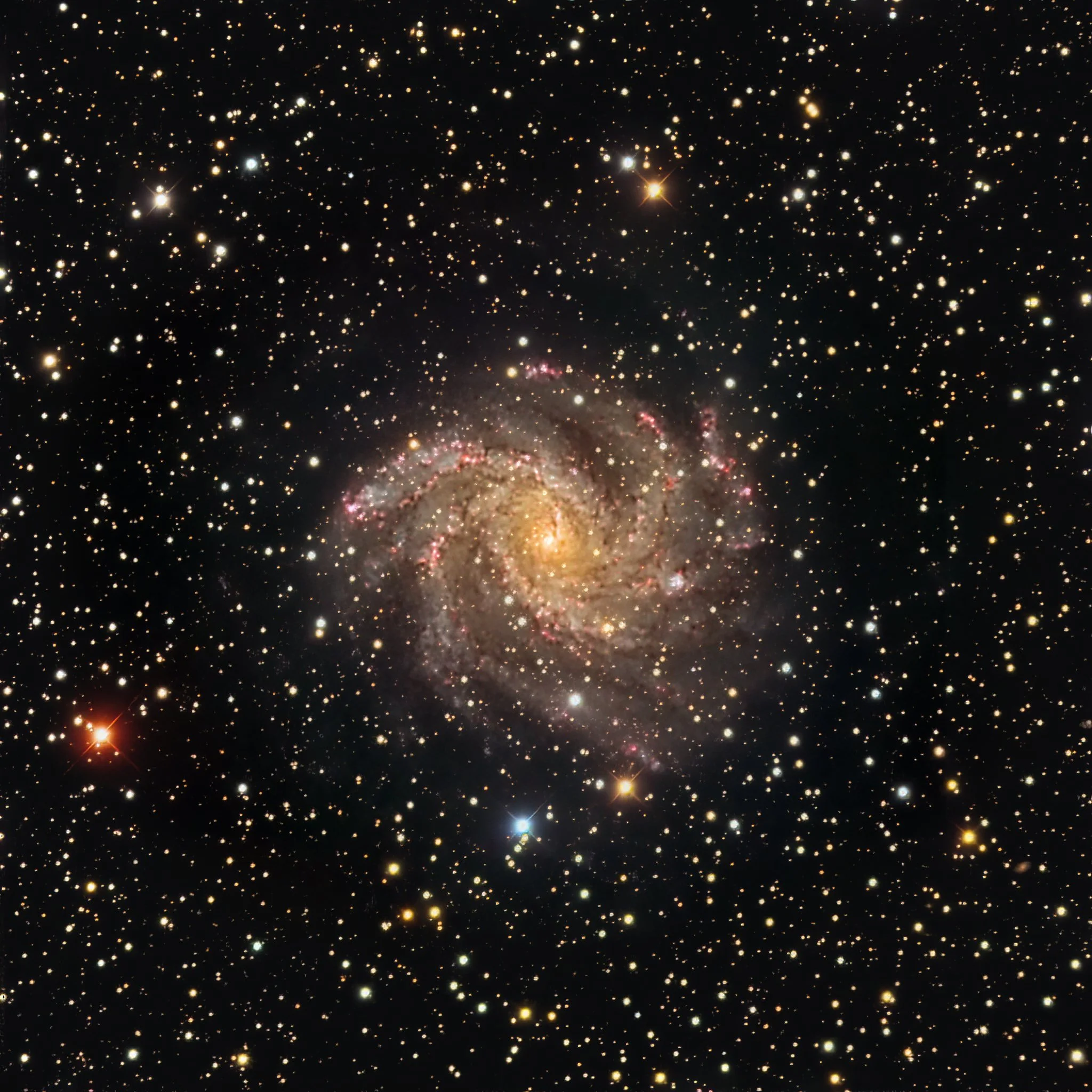 NGC 6946 The Fireworks Galaxy — Starry Odyssey