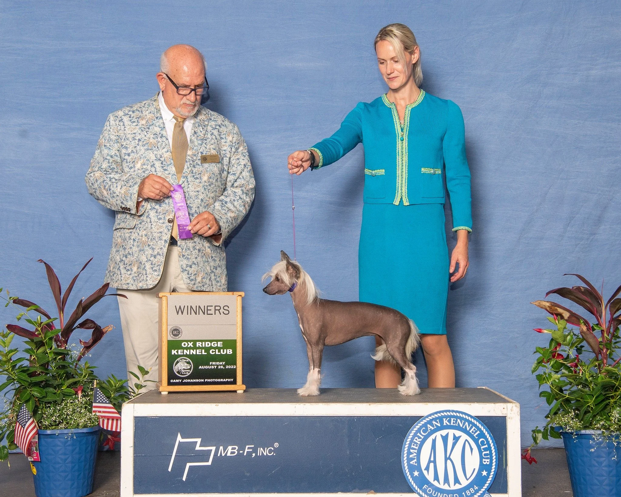 Bergamasco Sheepdog breeder Connecticut