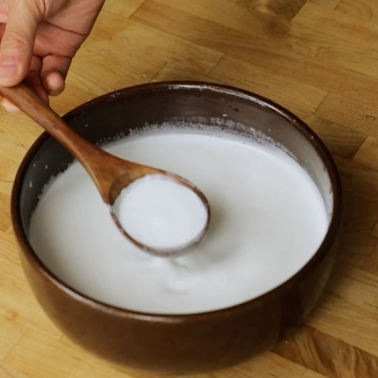 Homemade Coconut Milk Recipe (With Pictures) - Saeng's Kitchen