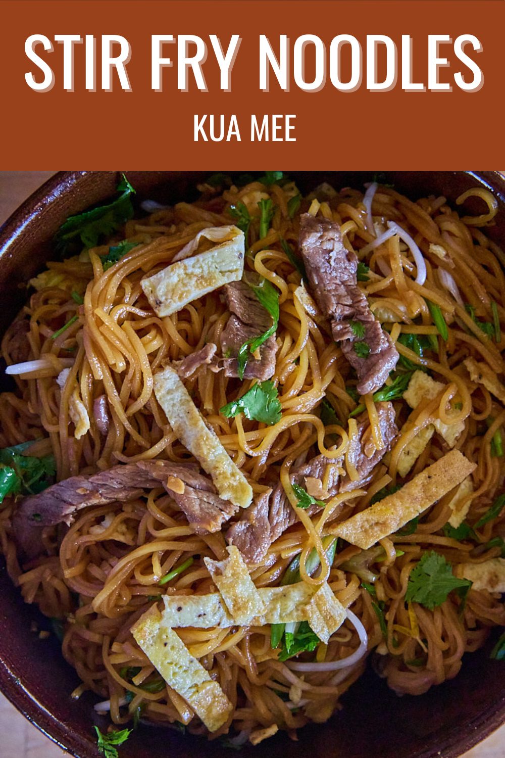 Caramelized Lao Noodles | Kua Mee (Non-Stir Fry Method) - Saeng's Kitchen
