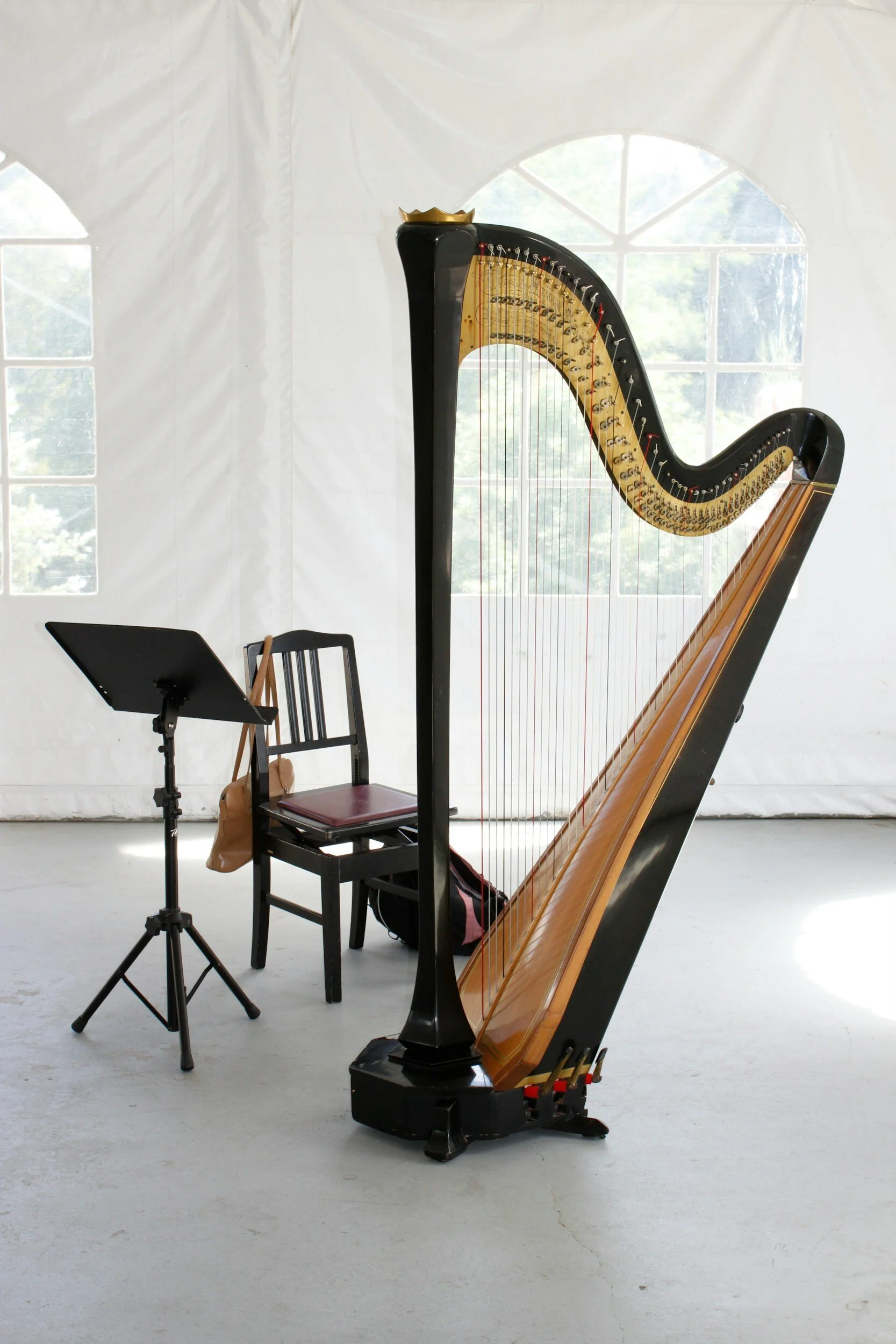 Harp Society of Queensland