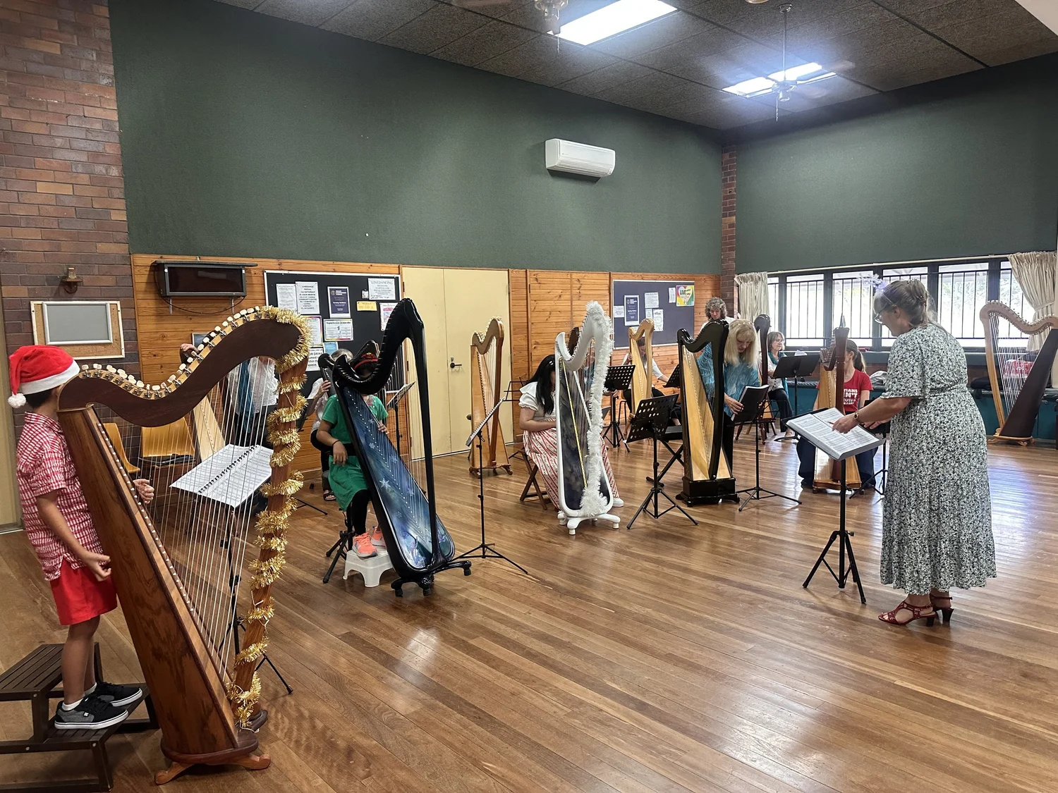 Harp Society of Queensland