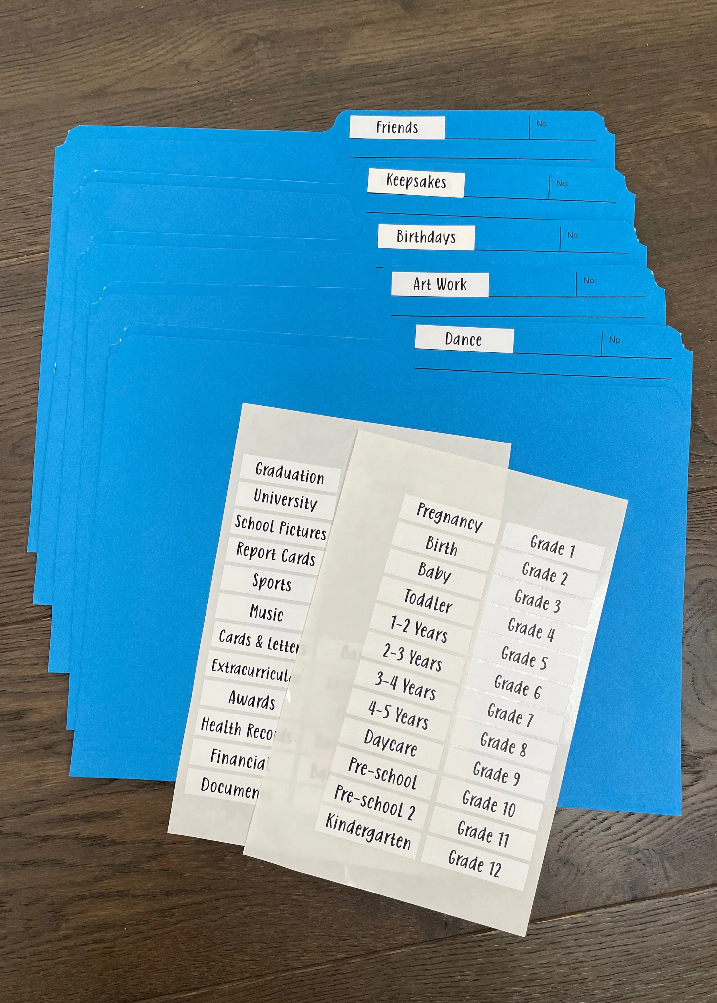 Editable in Canva Toy Organization Labels — Tara