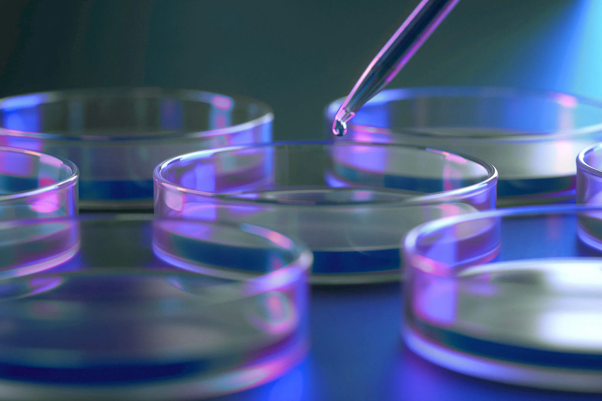 General 4 — Rejuvenate Bio