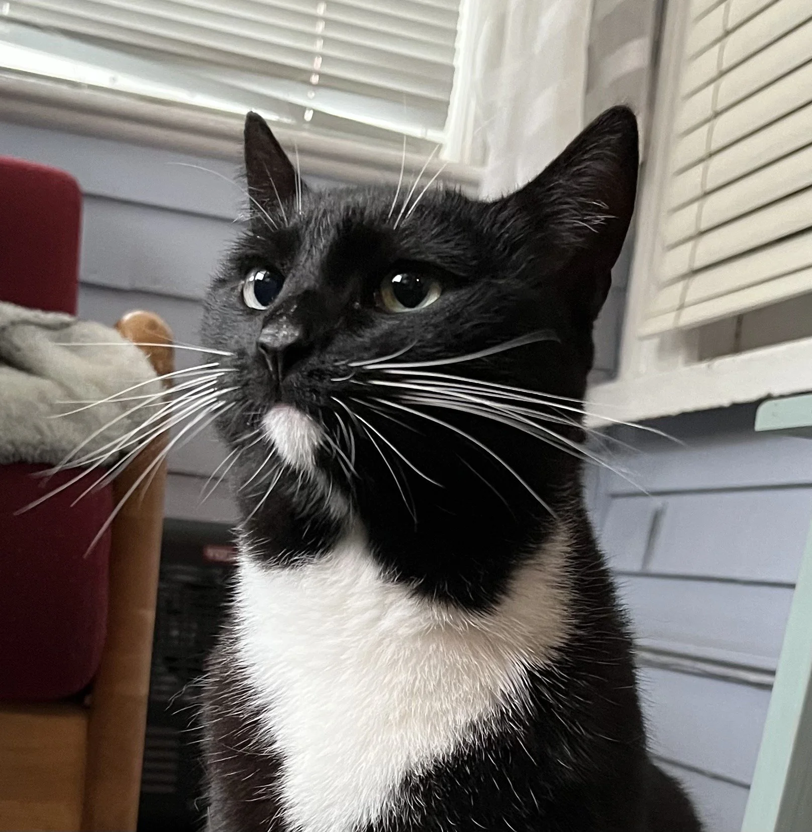 Team 1 — Granada House