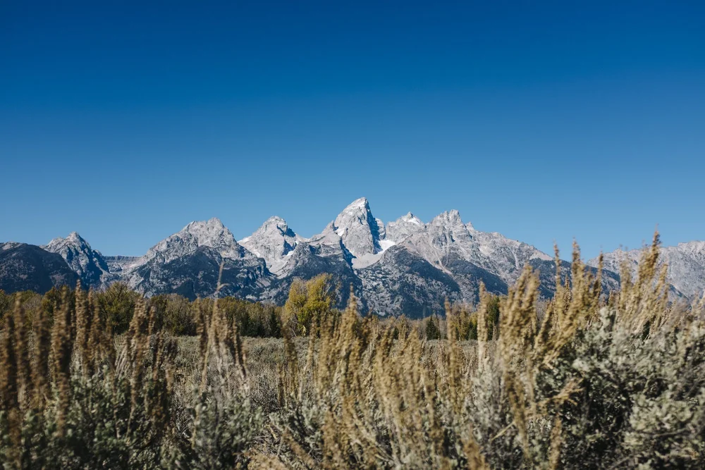 Yellowstone and The Grand Tetons — Ryan Belk