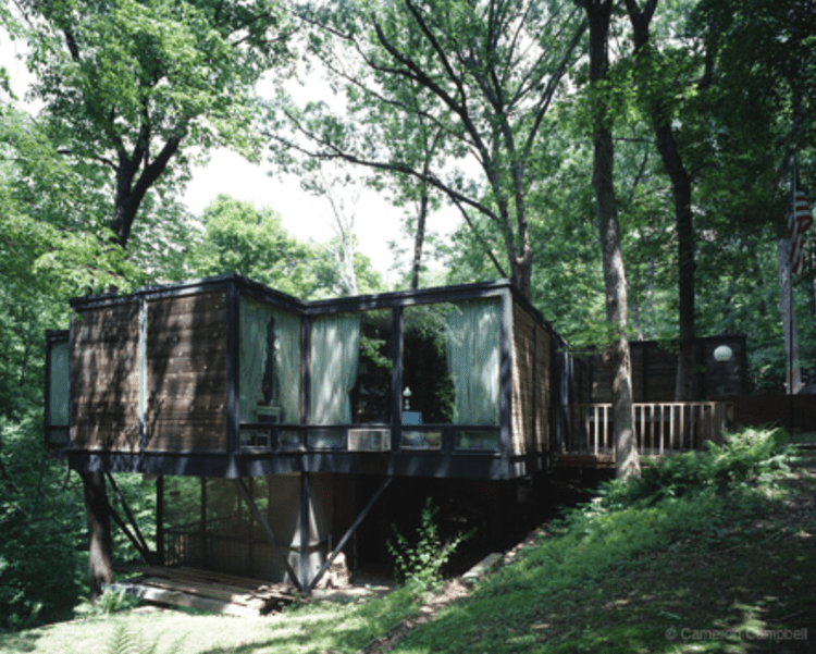 Crites House I by architect Ray Crites, 1961 — THE MILLIE VINTAGE