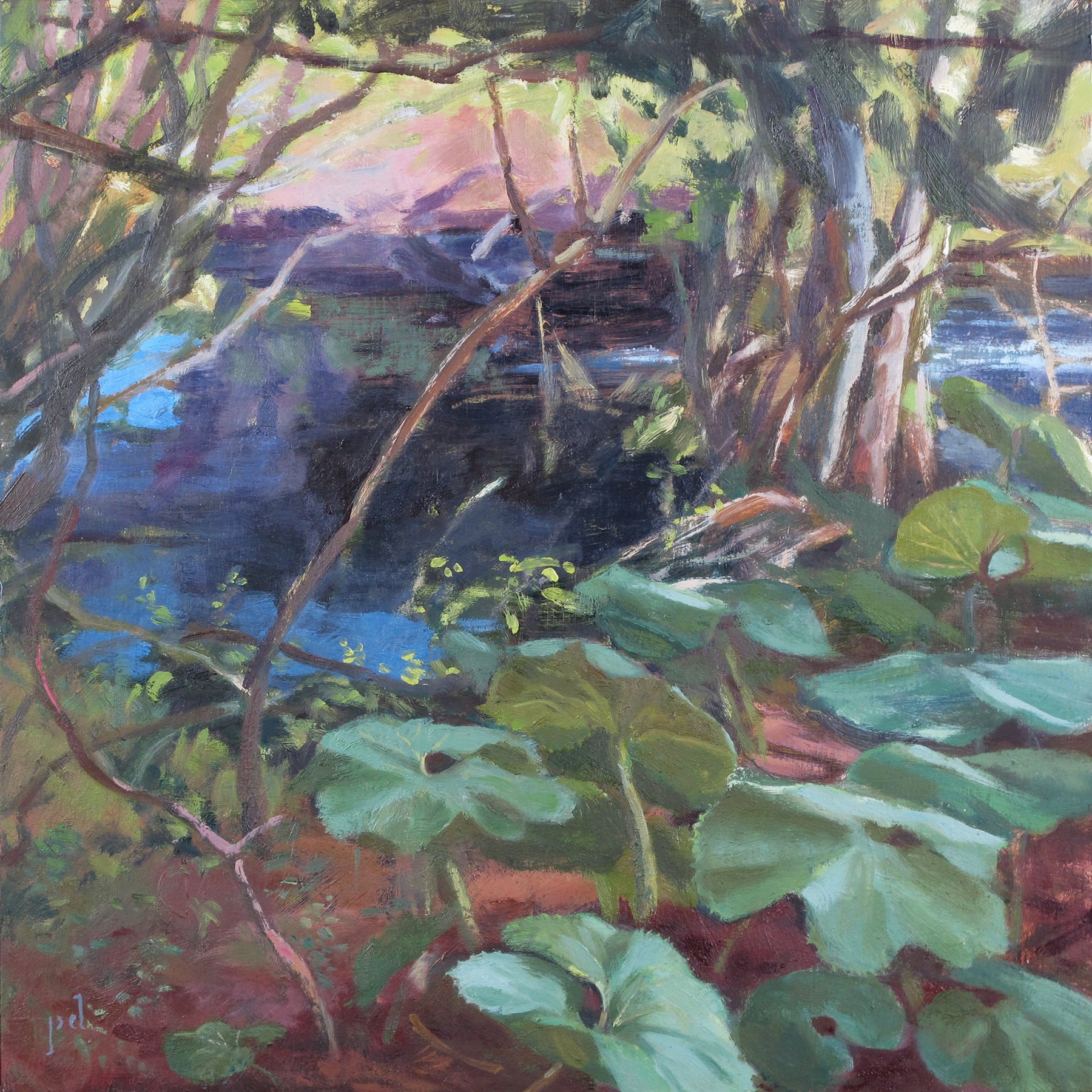 Peter Dickison — South Coast Artists