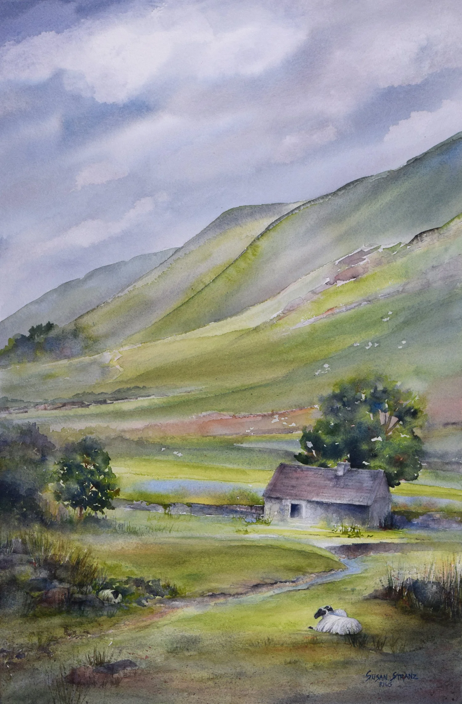 Susan Stranz — South Coast Artists