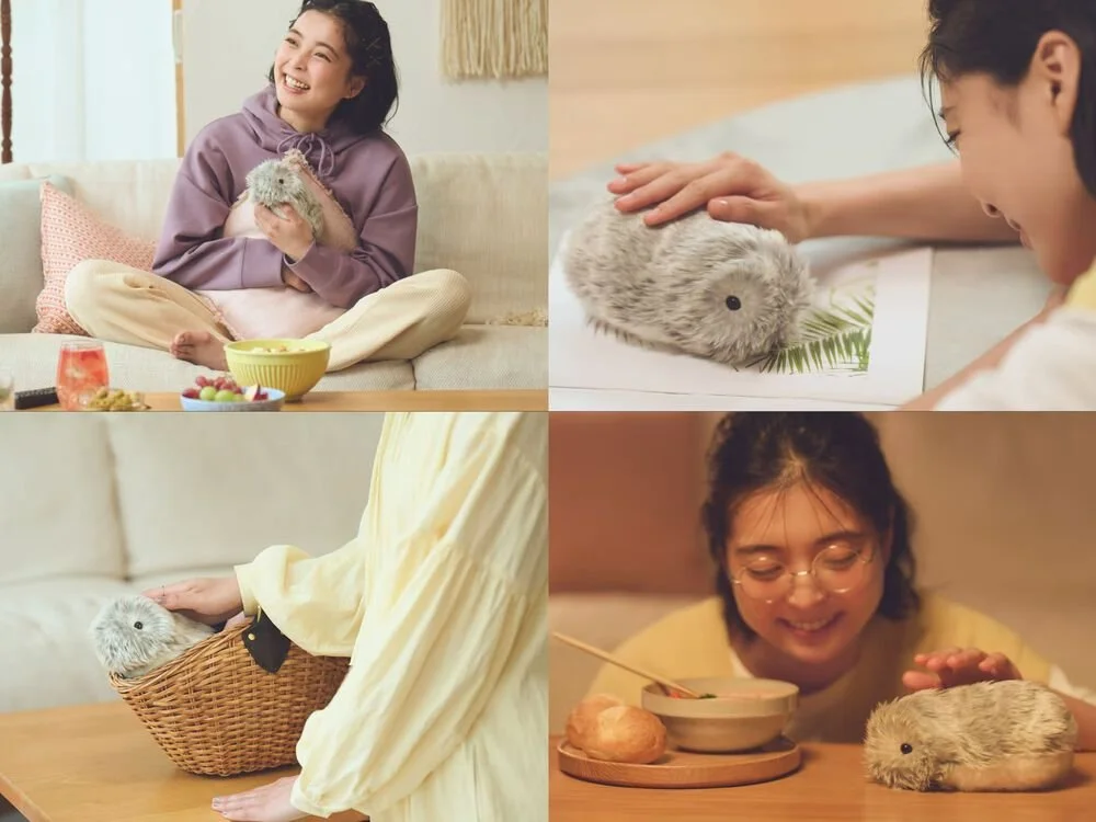 AI pets and relevant product placement opportunities - China Skinny
