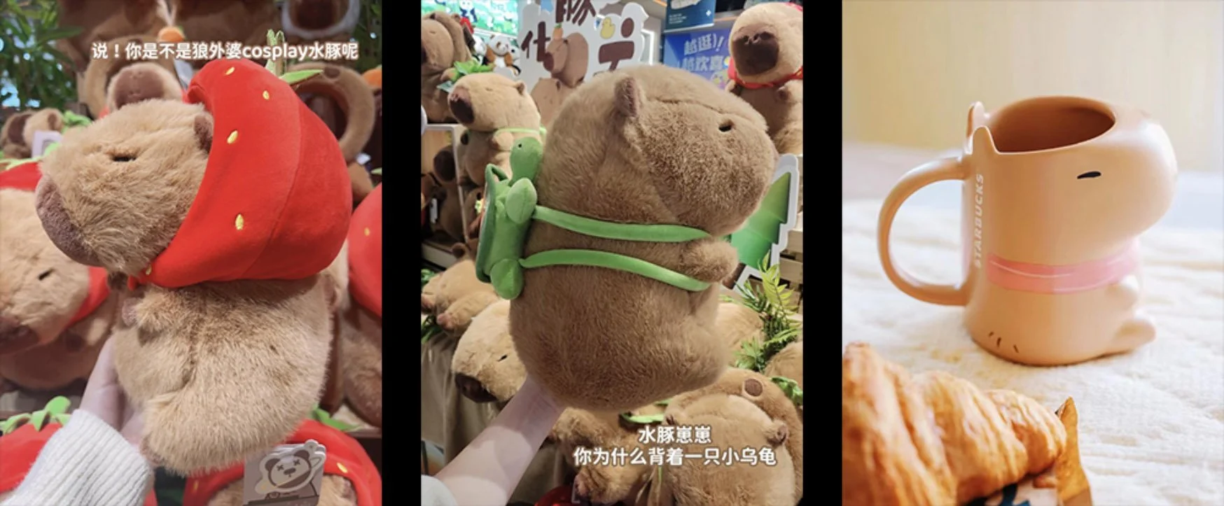Trending in China: 3 ‘animal’ stars are taking over China’s social ...