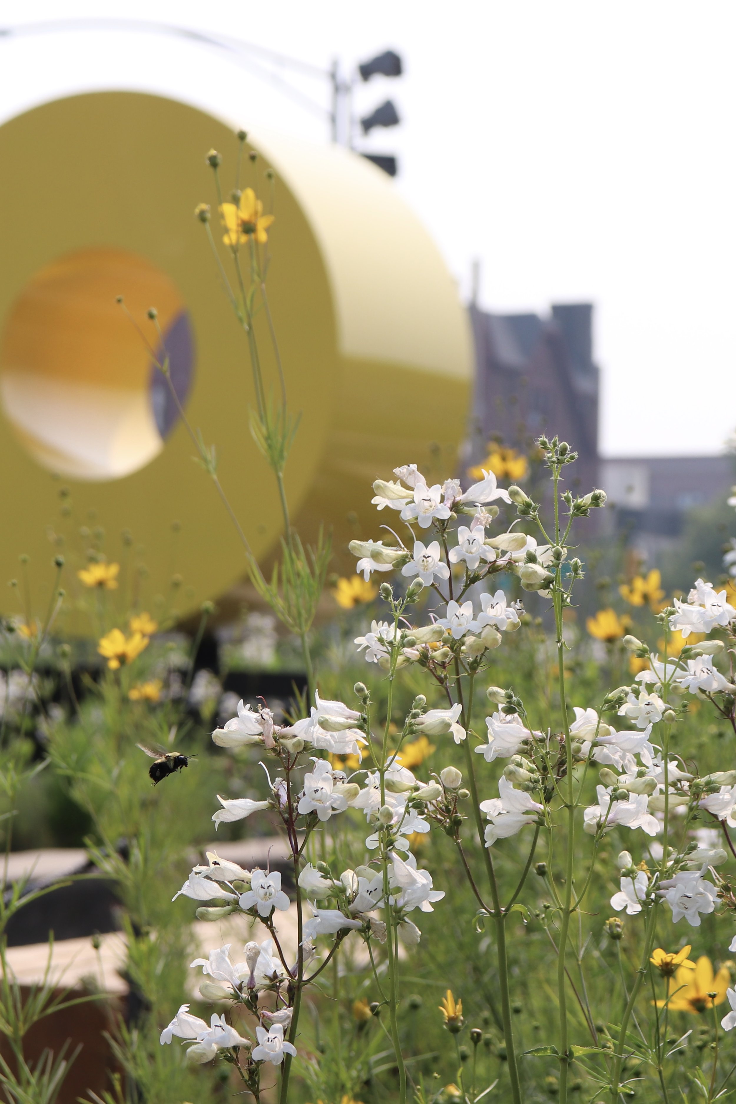 Brooklyn Museum Garden — Rebecca McMackin