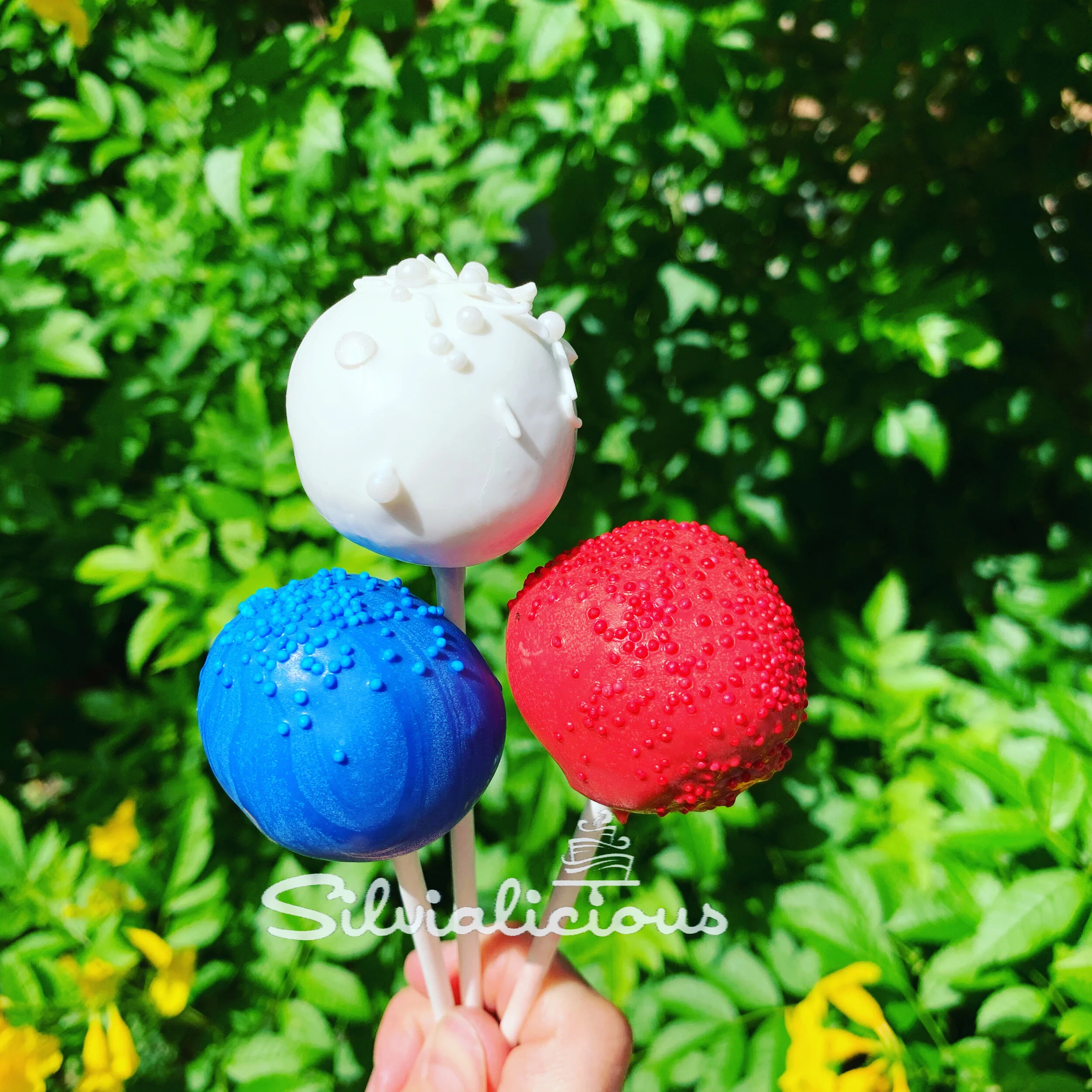 Menu — Silvialicious