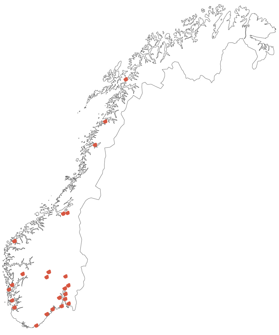 Våre selskaper — DLVRY