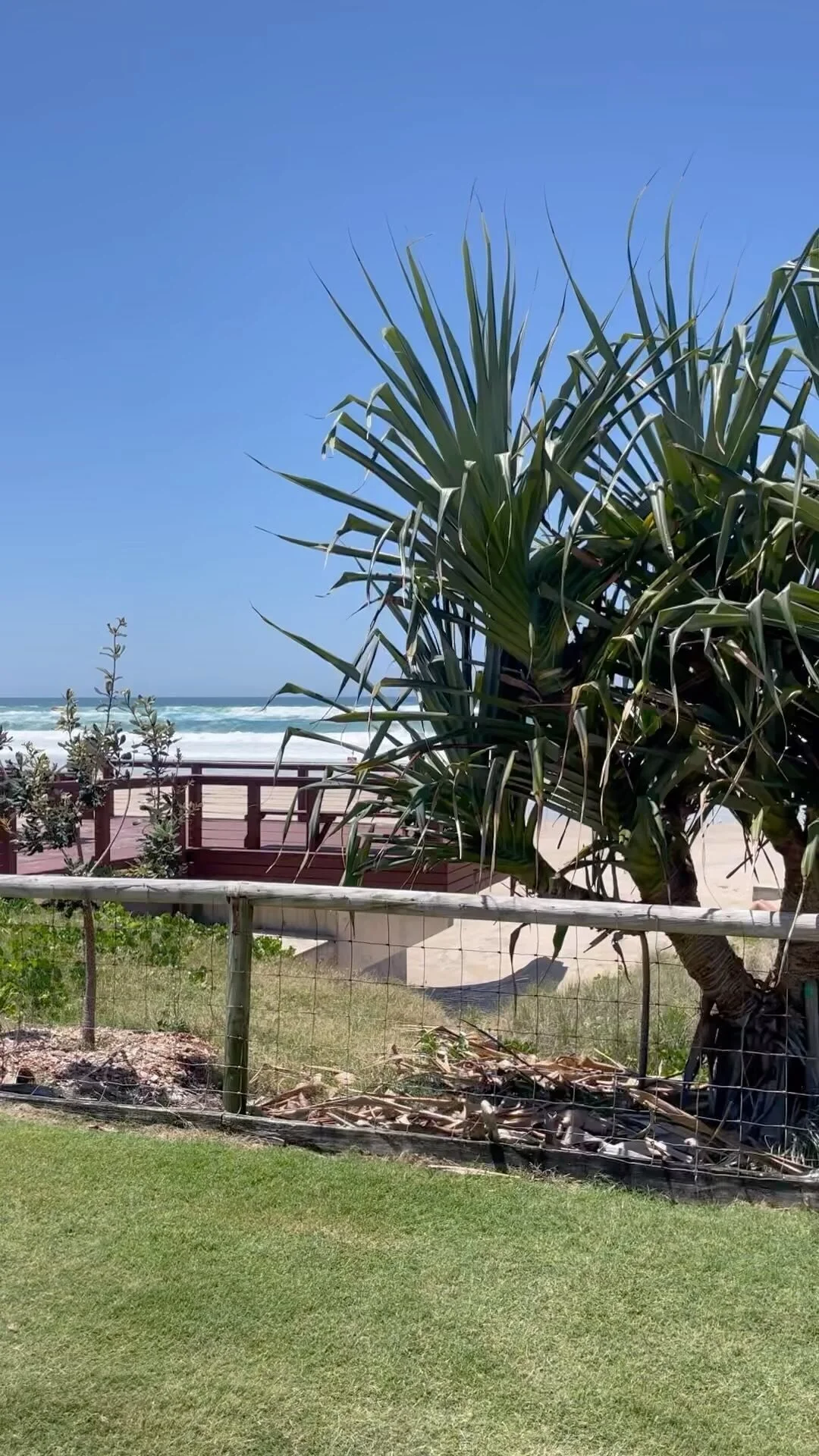 Nobby's Beach Surf Life Saving Club