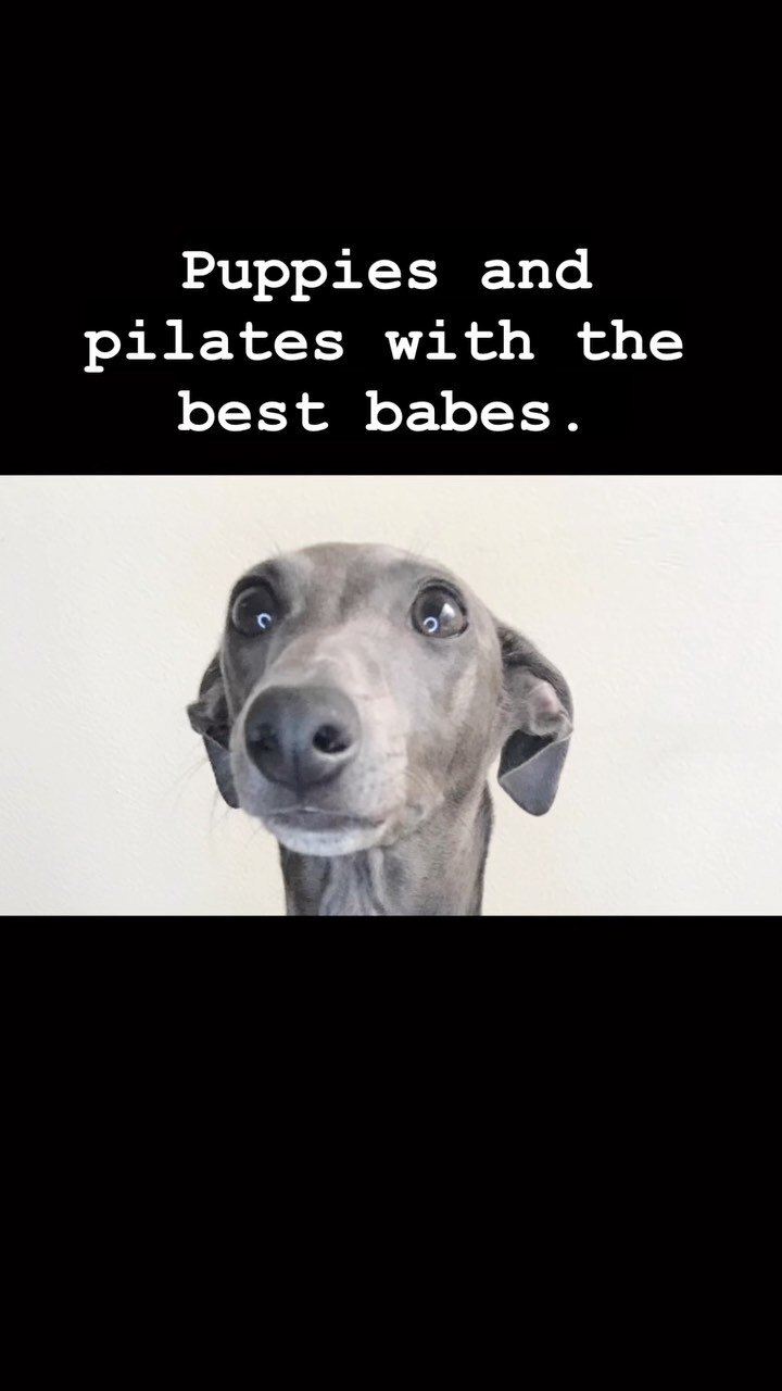 GLEBE PILATES reformer studio