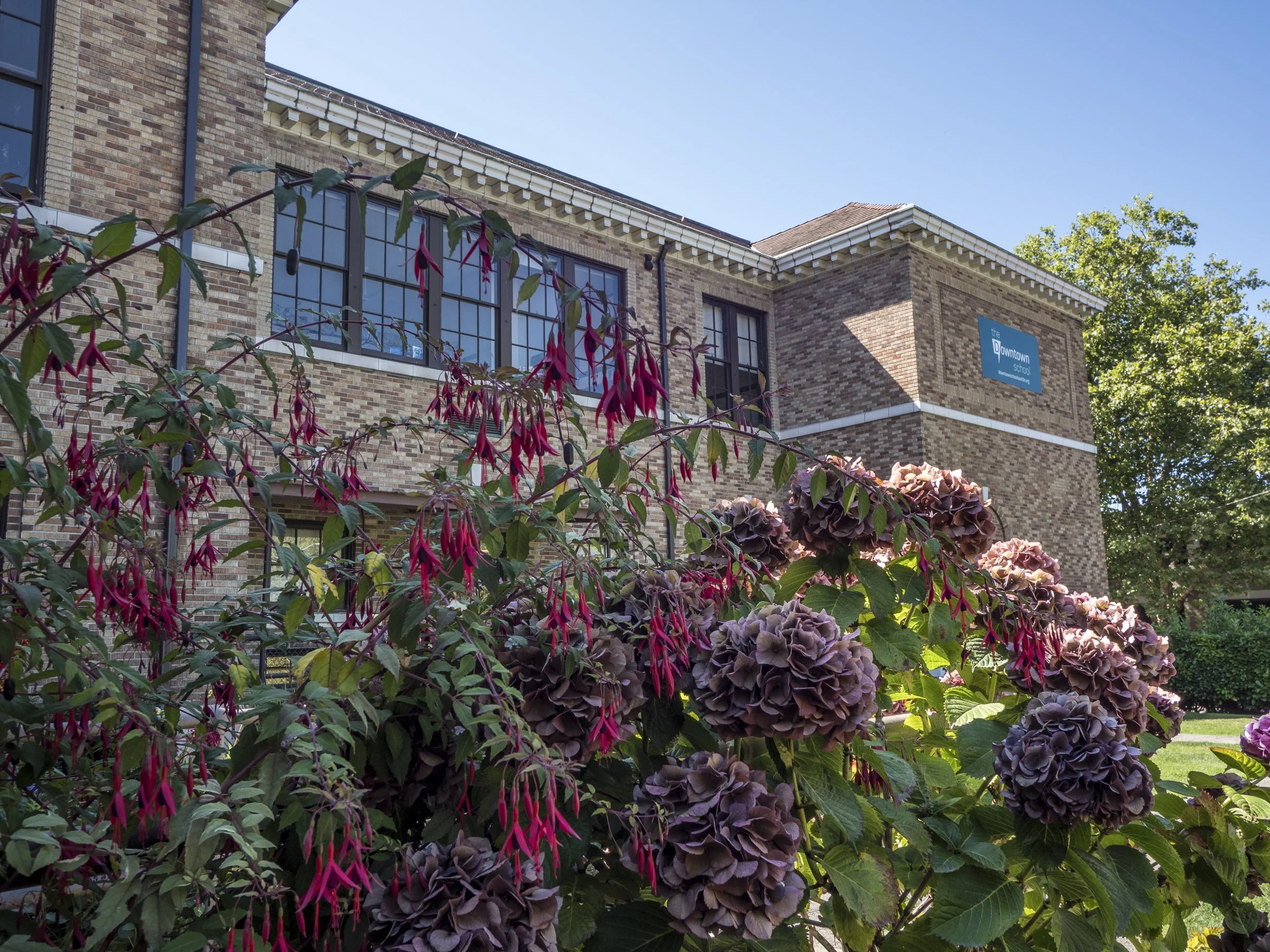 Visit The Downtown School | The Downtown School