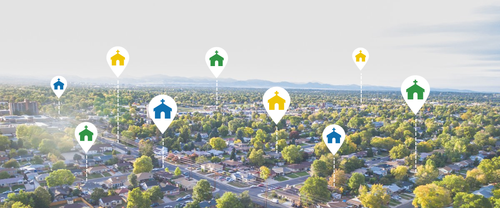 The Network — Project Belong