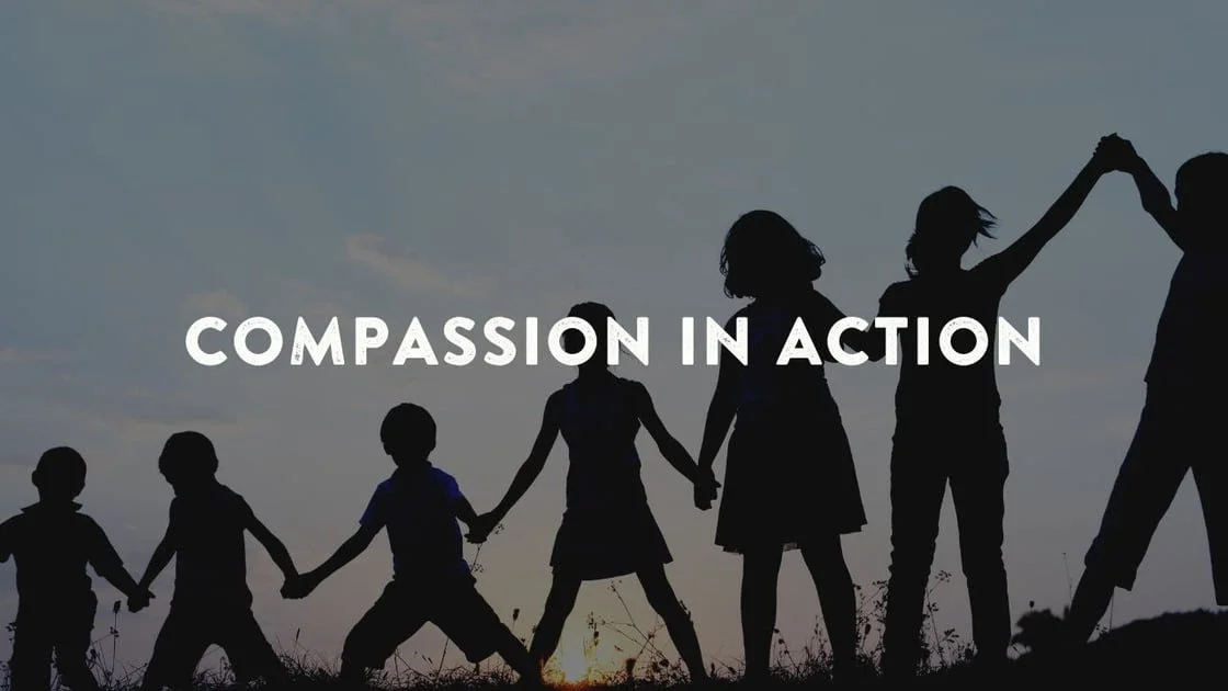 Compassion in Action — Project Belong