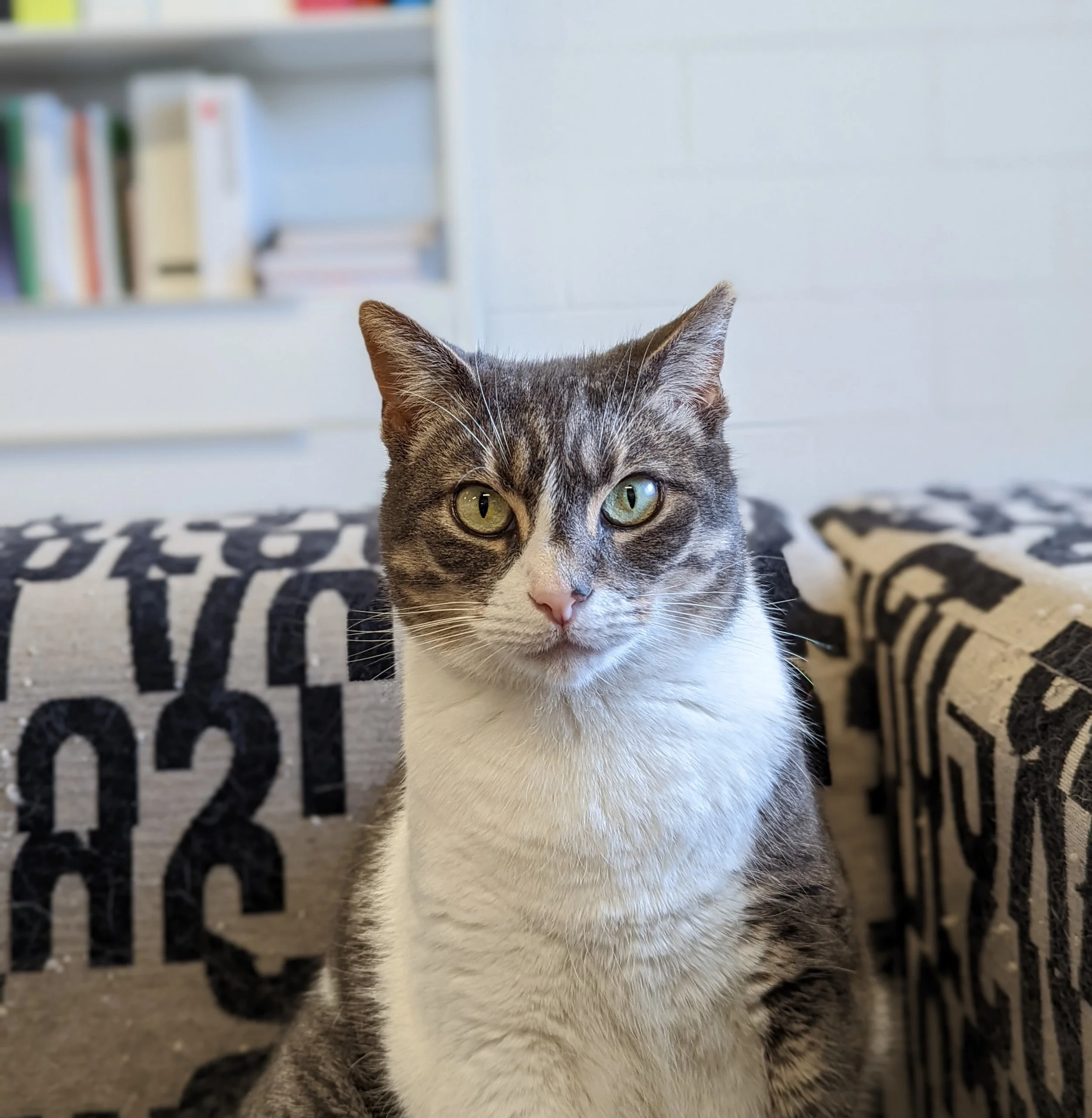 Team — Street Collaborative LLC