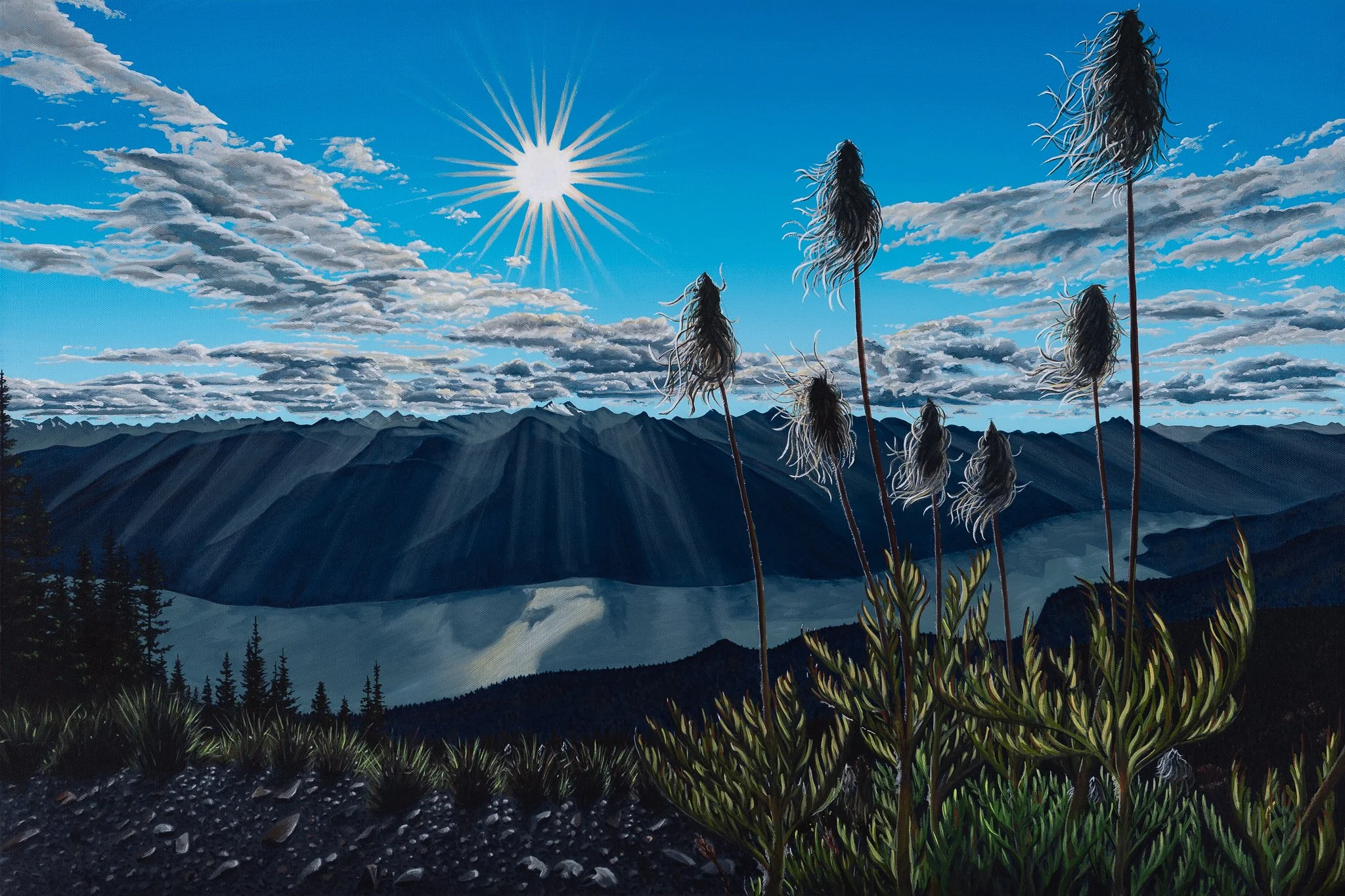 Collections — Sab Curtis Art