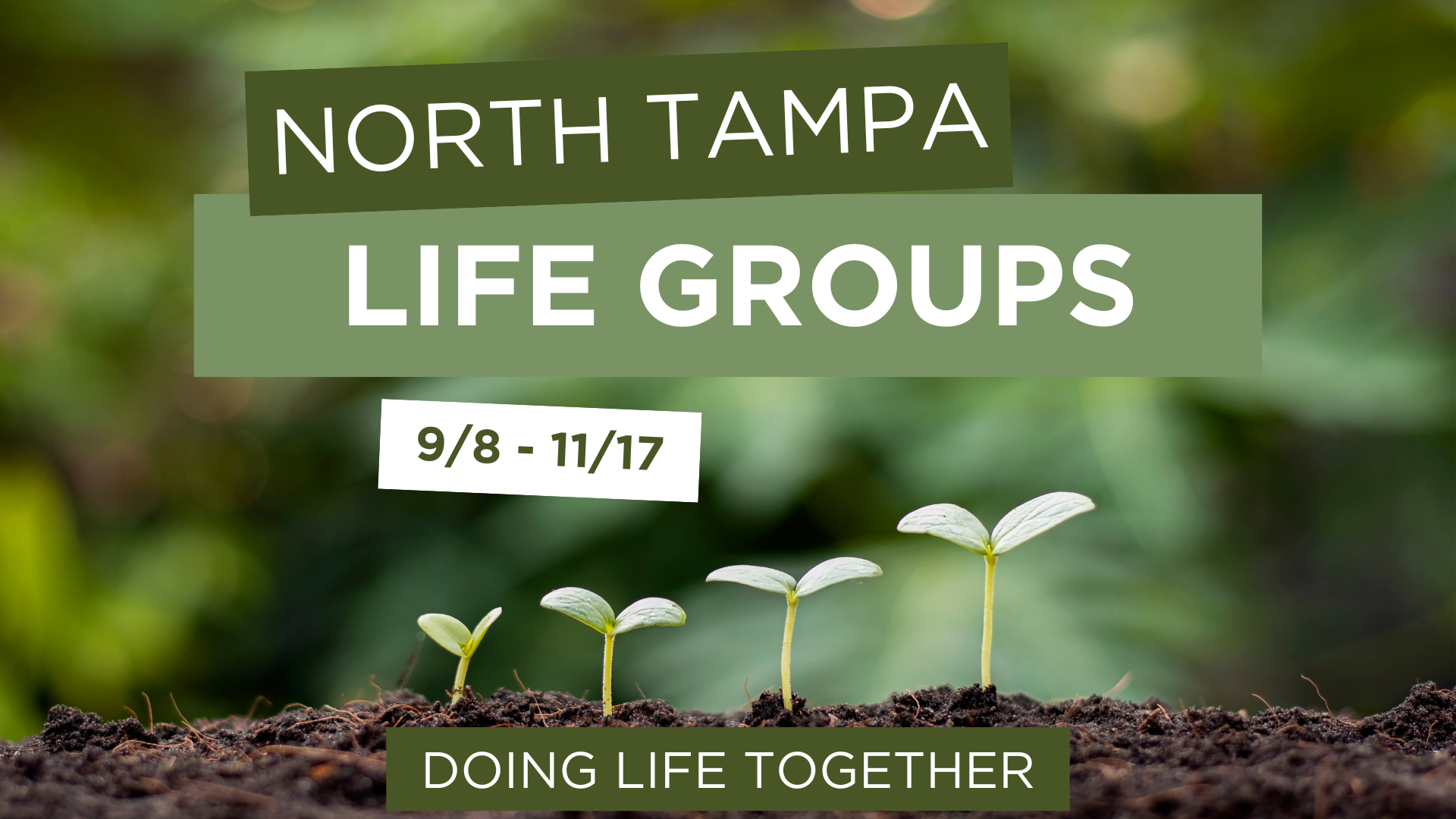 Life Groups — North Tampa Church of Christ