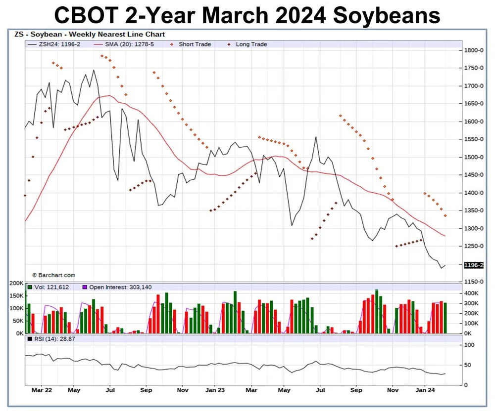 Canola Market Outlook: February 5, 2024 — SaskCanola