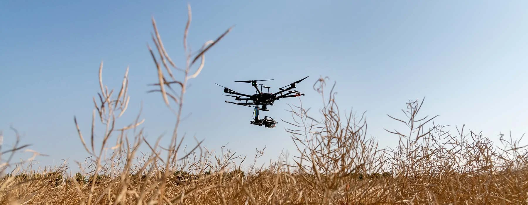 Research Overview — SaskCanola