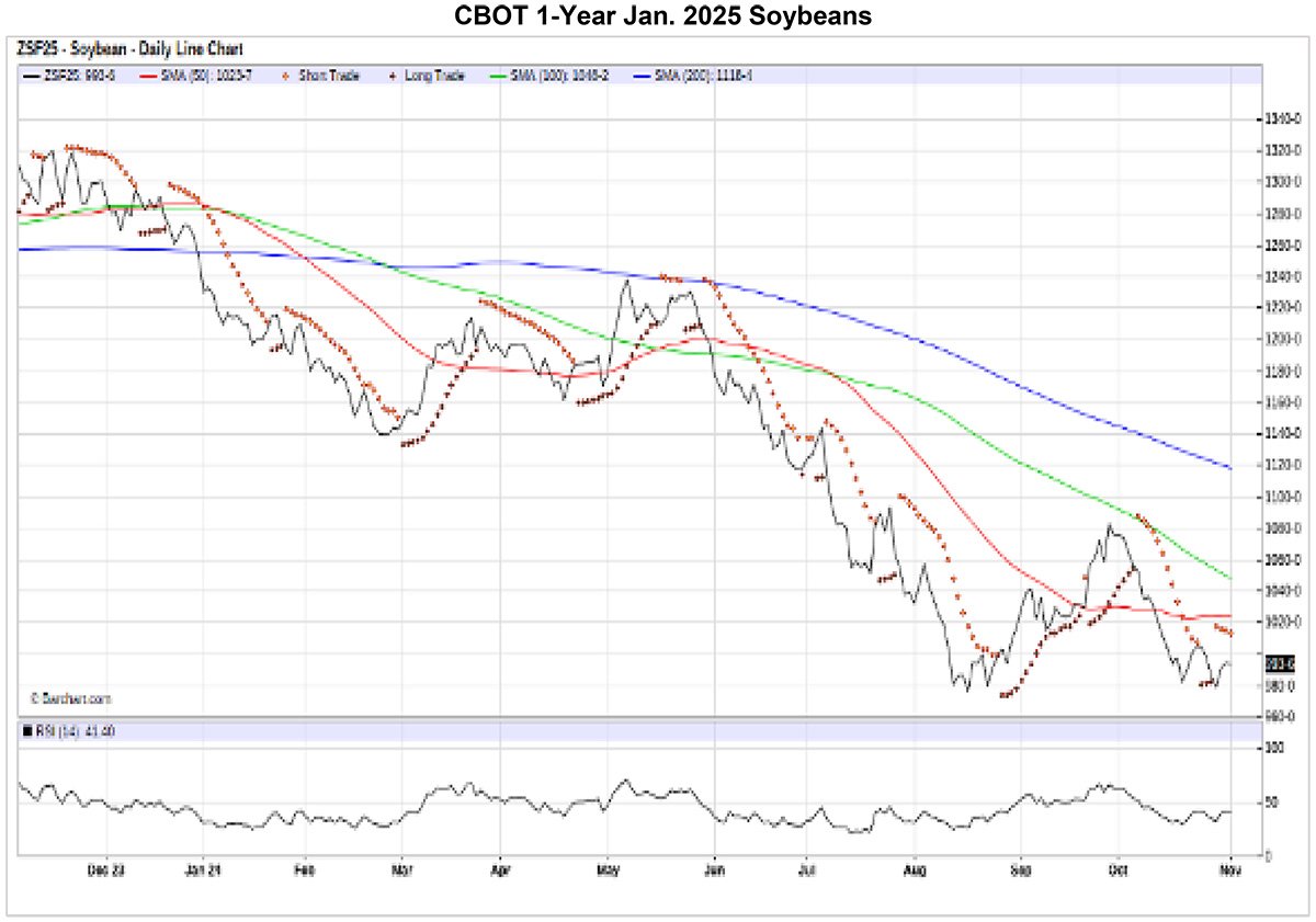 Canola Market Outlook: November 4, 2024 — SaskCanola