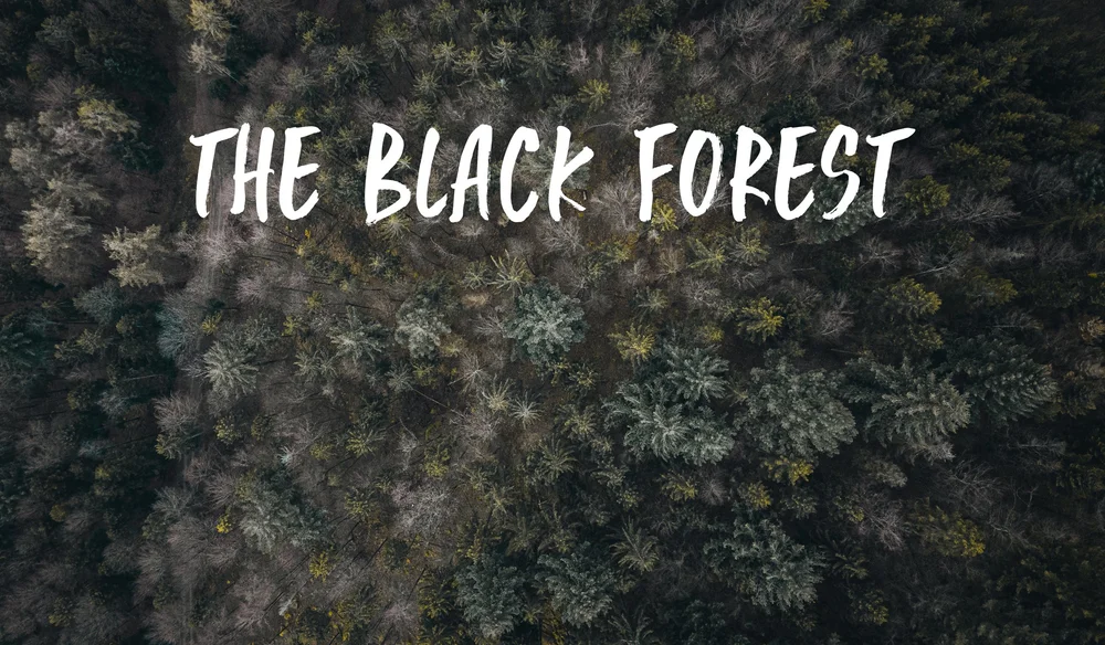 Explore the Black Forest: Nature, Culture, and Tranquility Await — INTO ...
