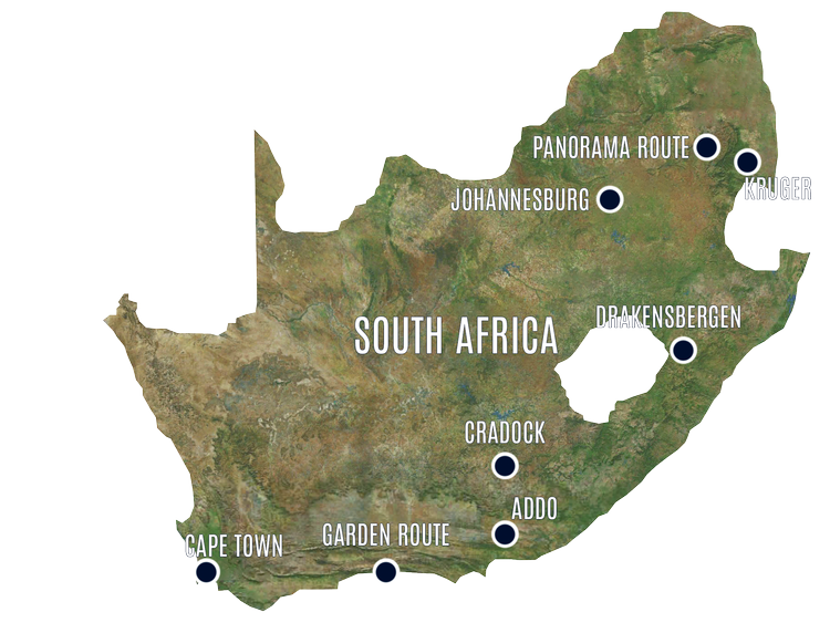 Discover South Africa: Top Destinations, Travel Tips, and Safari ...