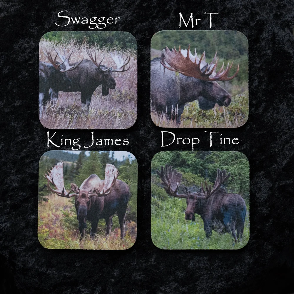 Moosin' With Team MooseMan (Book) — Mooseman Nature Photos