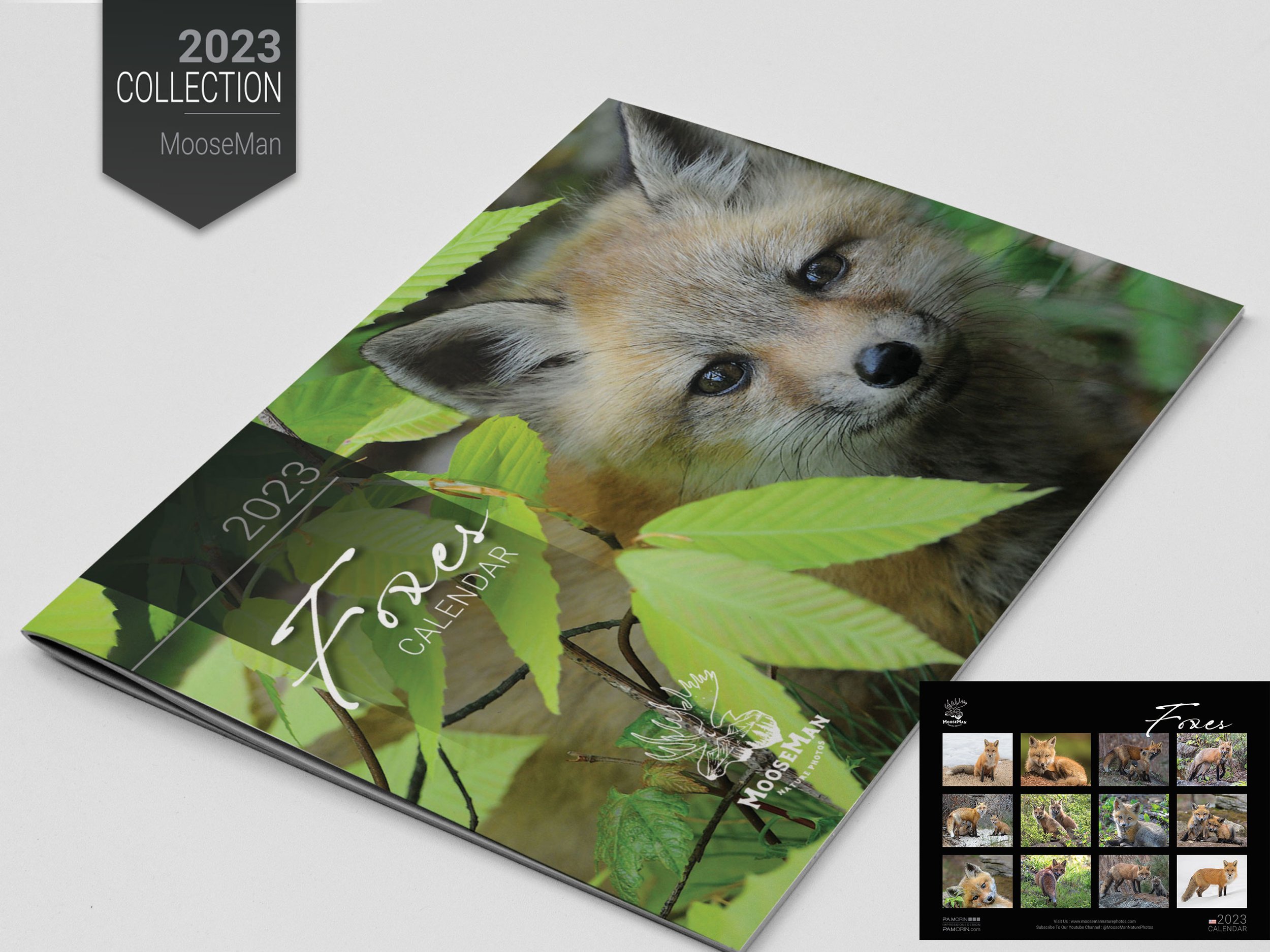 Store 2 — Mooseman Nature Photos