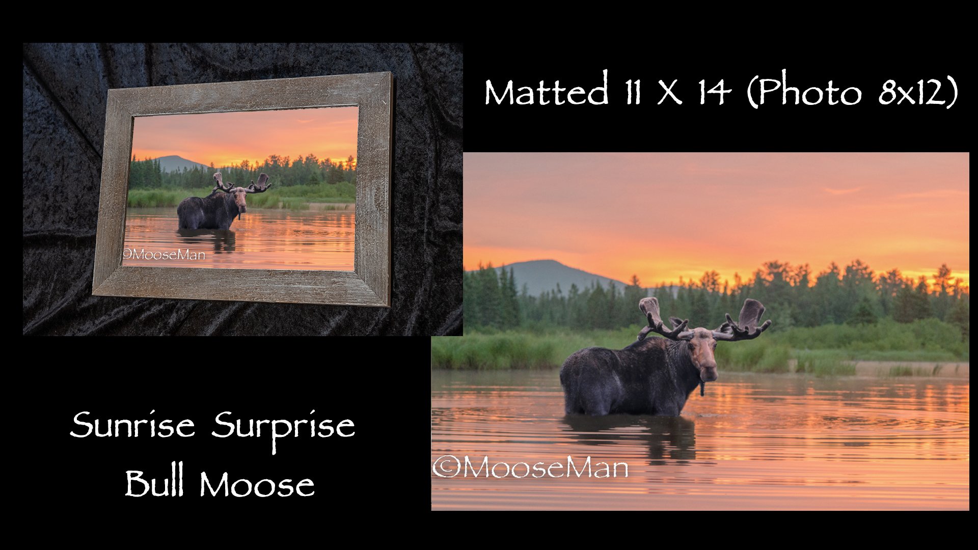 Store 2 — Mooseman Nature Photos