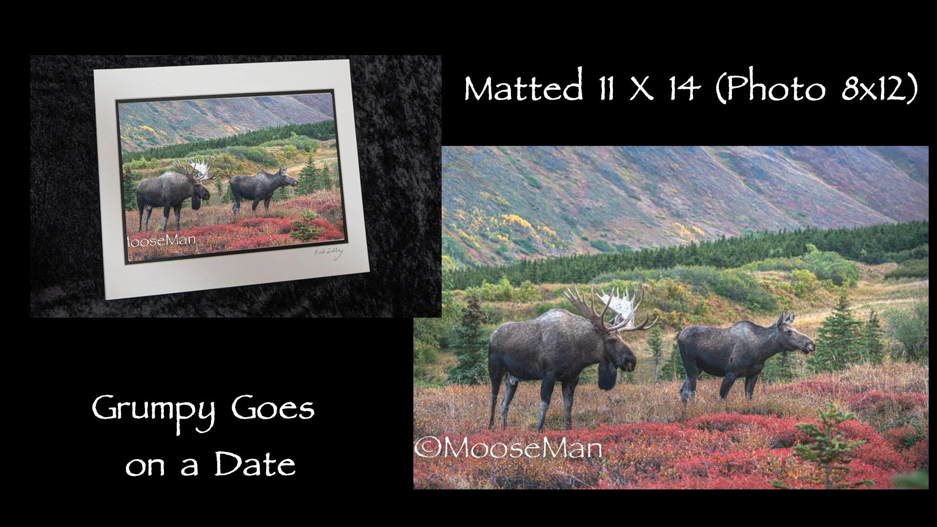 Store 2 — Mooseman Nature Photos