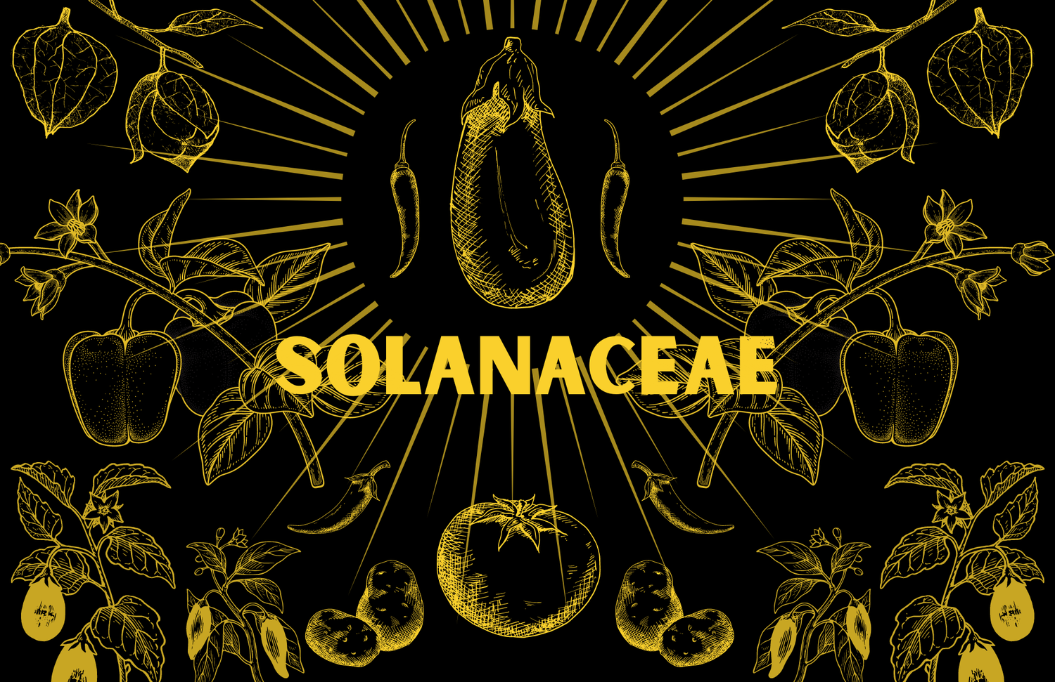 Solanaceae — The Vegucation Station