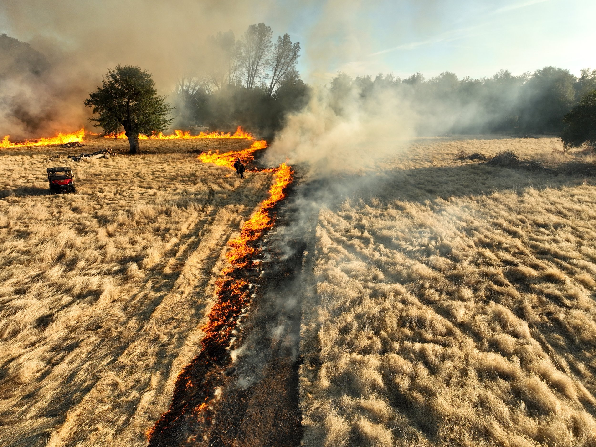 BurnBot | Wildfire Risk Reduction Solutions | Vegetation Management ...