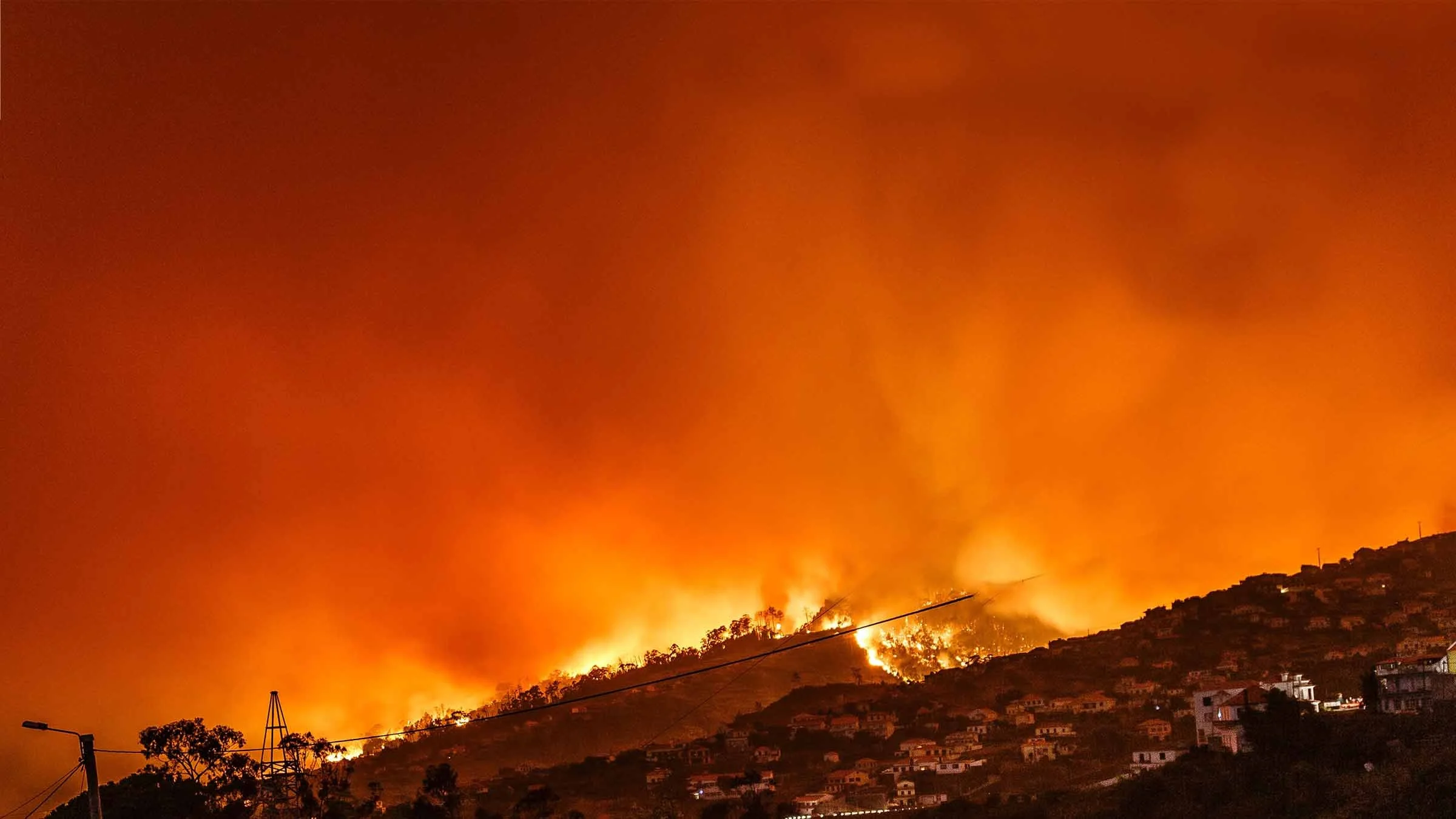 BurnBot | Wildfire Risk Reduction Solutions | Vegetation Management ...