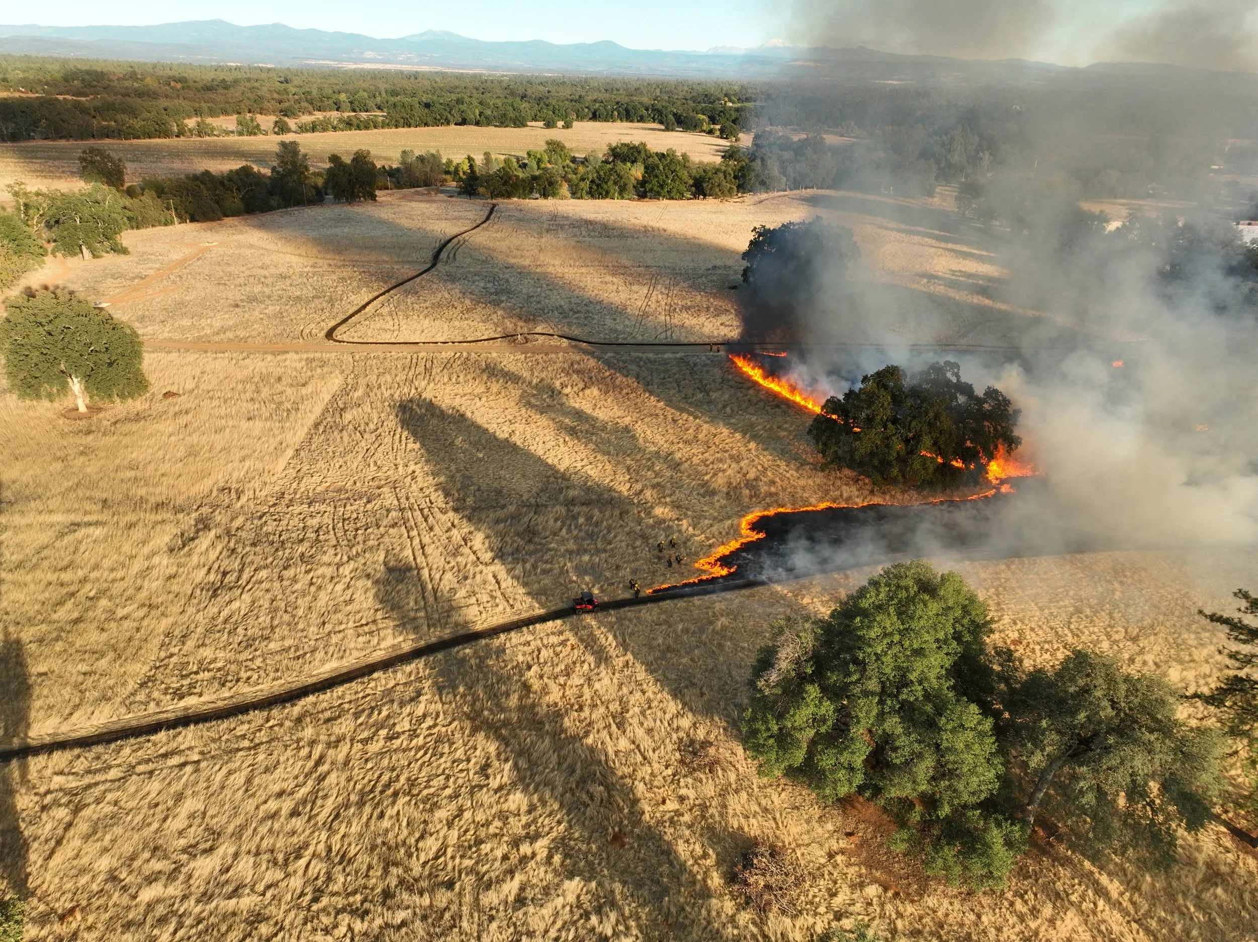 BurnBot | Wildfire Risk Reduction Solutions | Vegetation Management ...