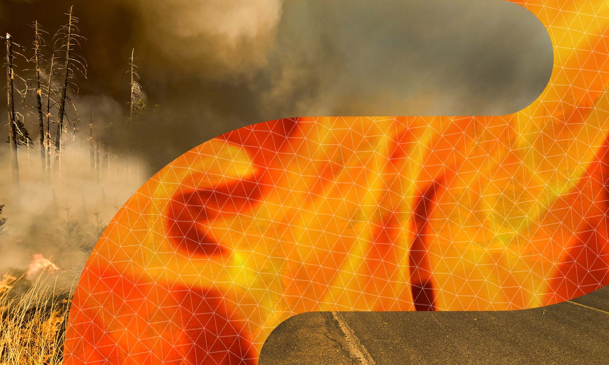 About — BurnBot, Inc.